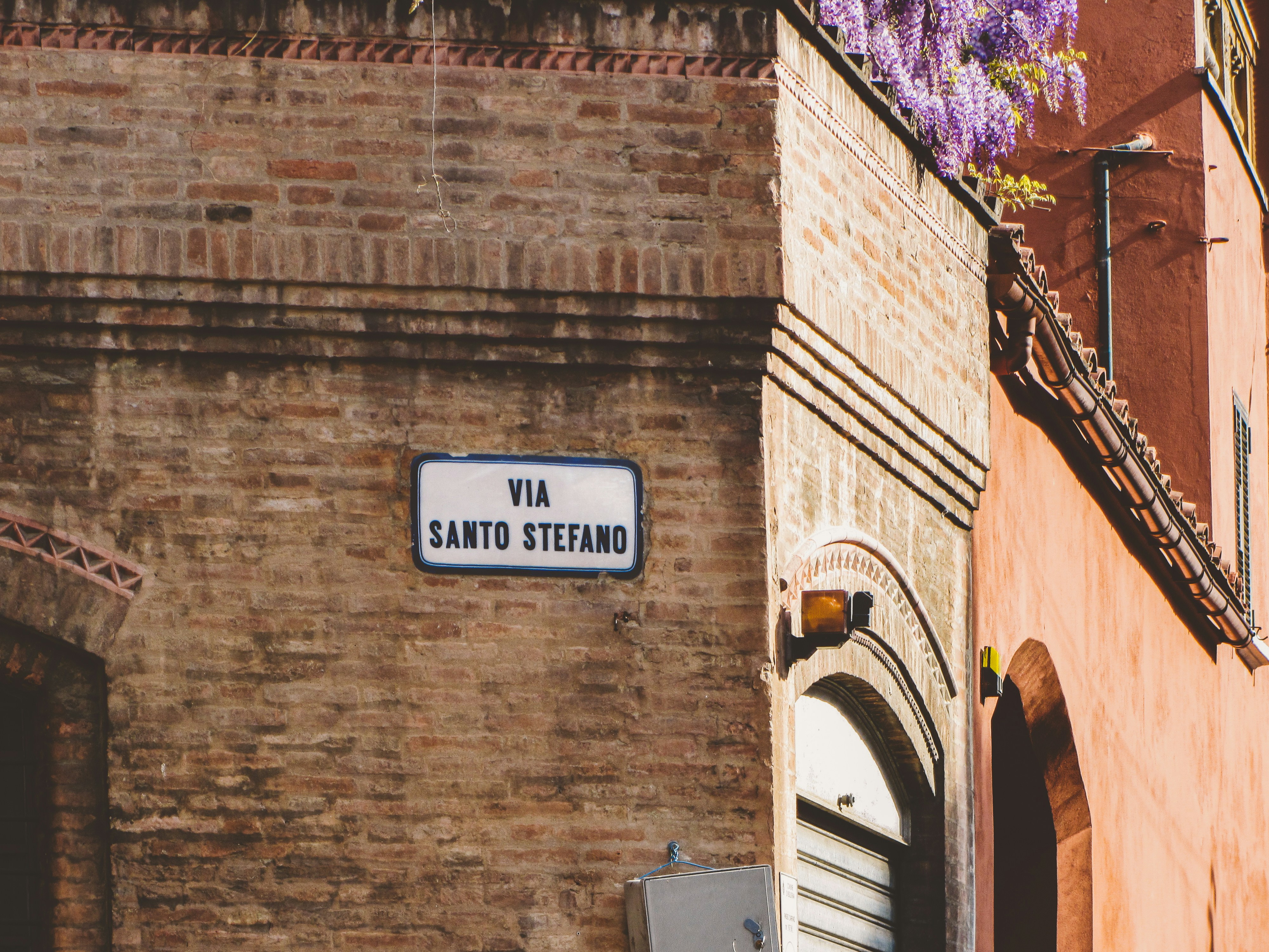 Photo by Casey Lovegrove with Canon PowerShot SX230 HS