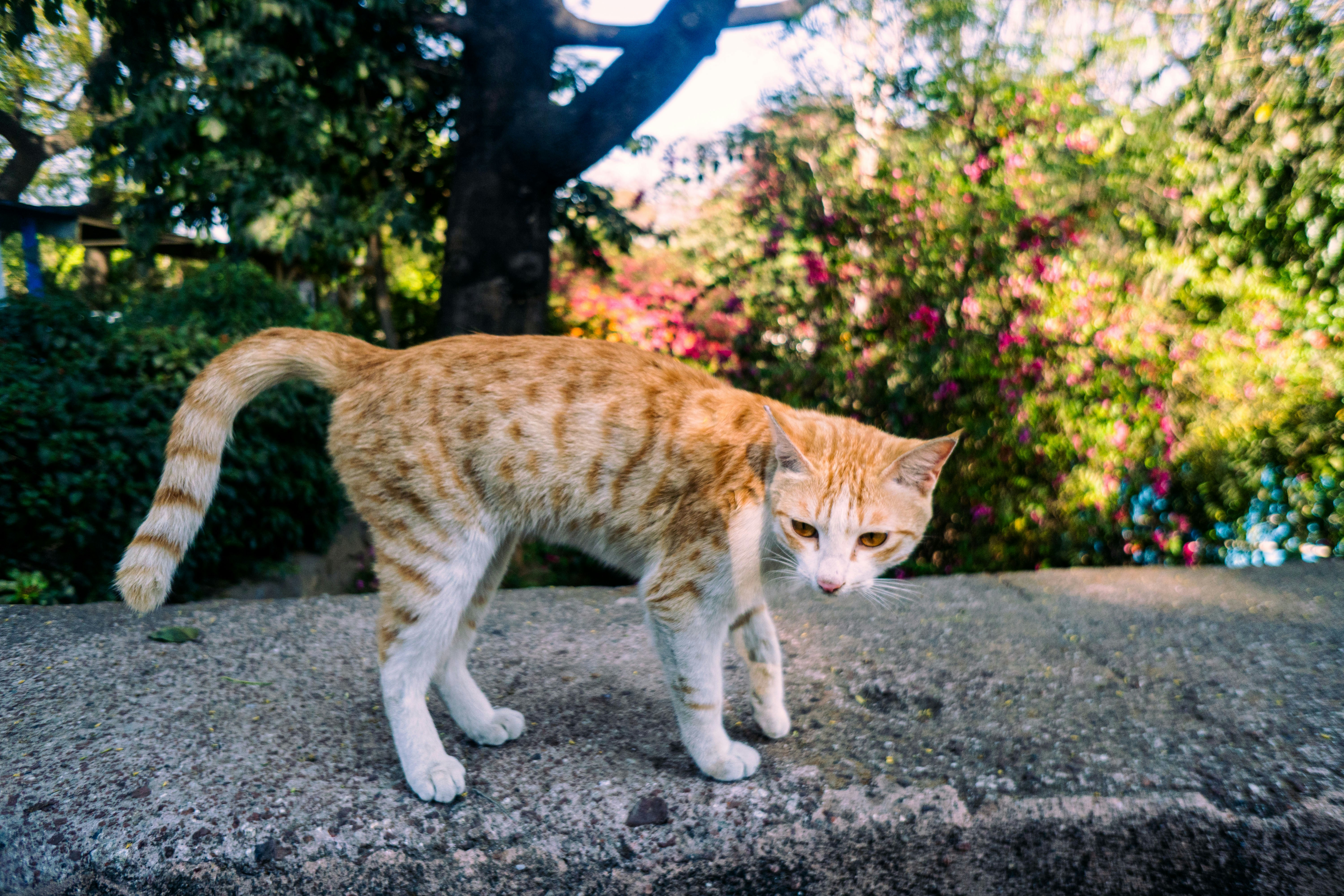 Photo by Dewang Gupta with Sony Alpha 6400