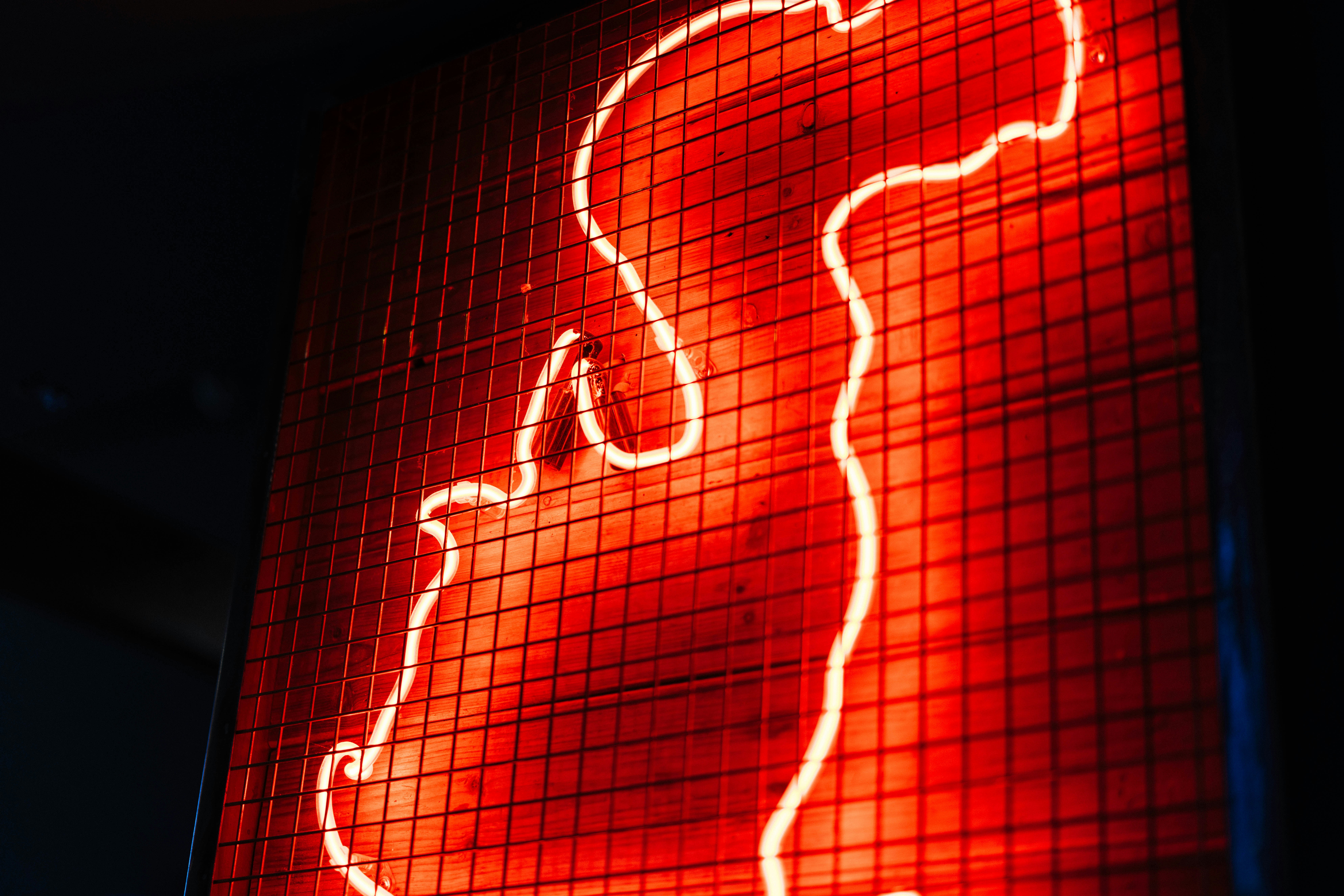 Photo by Phil Hearing with Sony Alpha 7R III