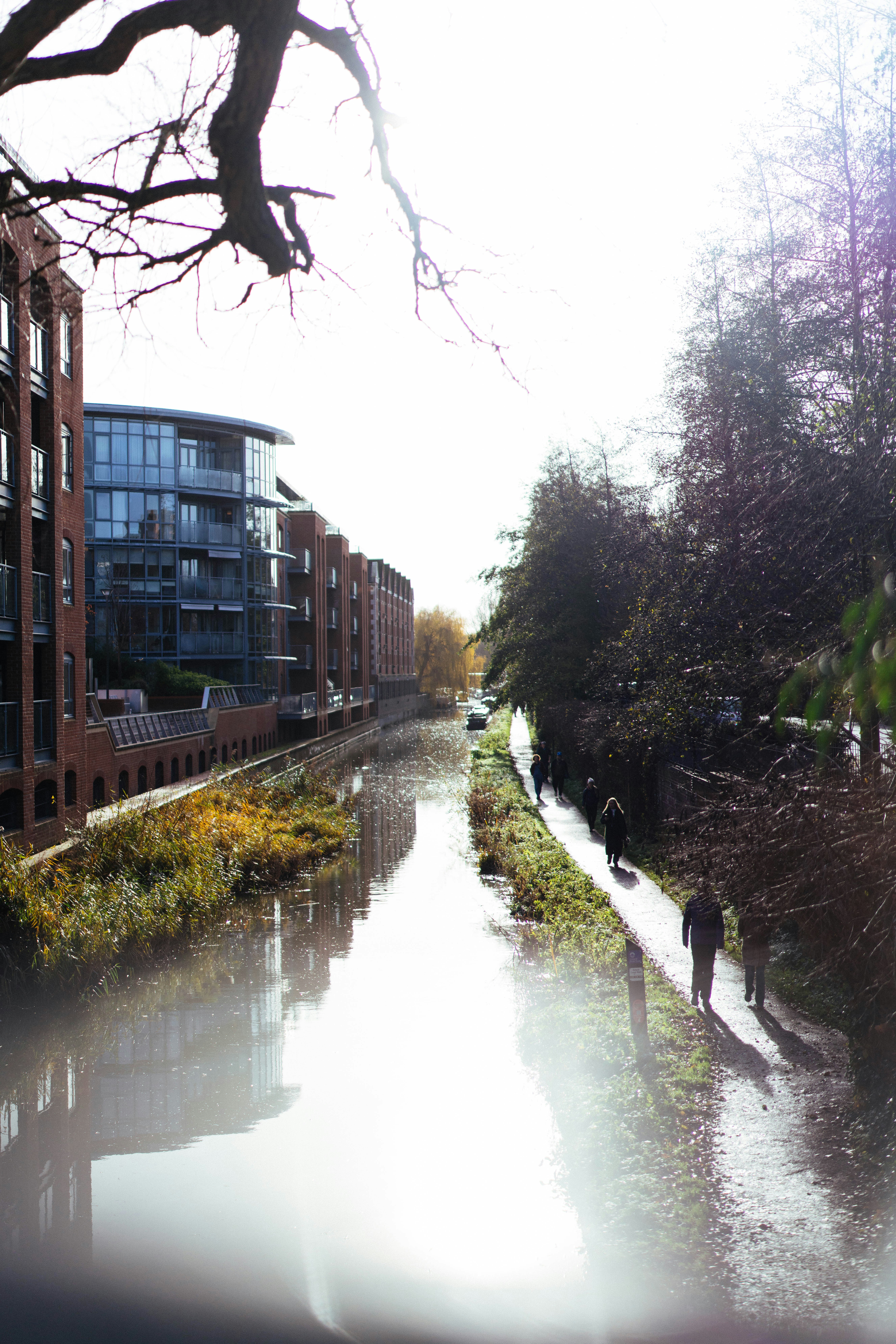 Canal Walk in Morning Light