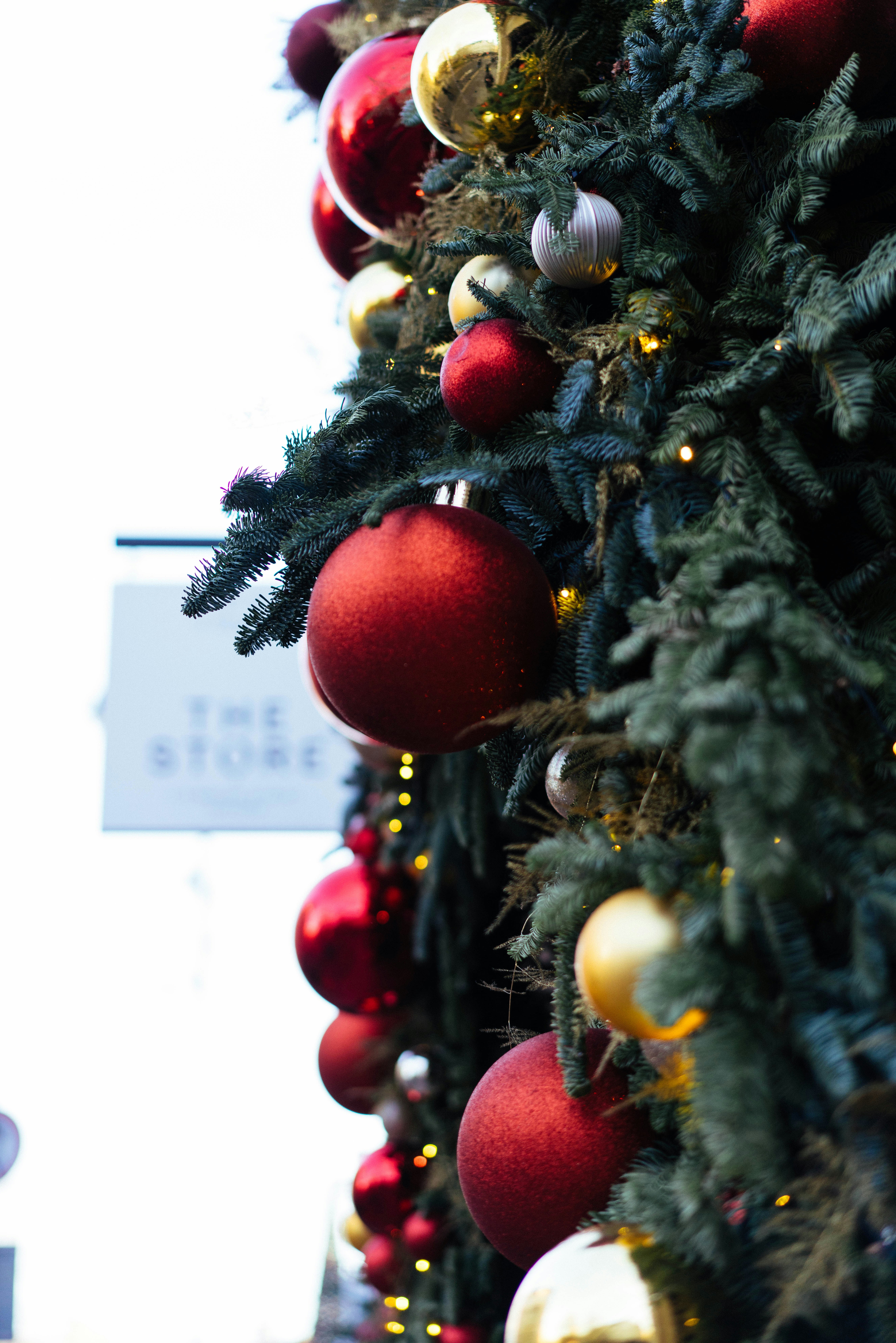 Christmas tree decorated with red and gold ornaments photo – Free ...