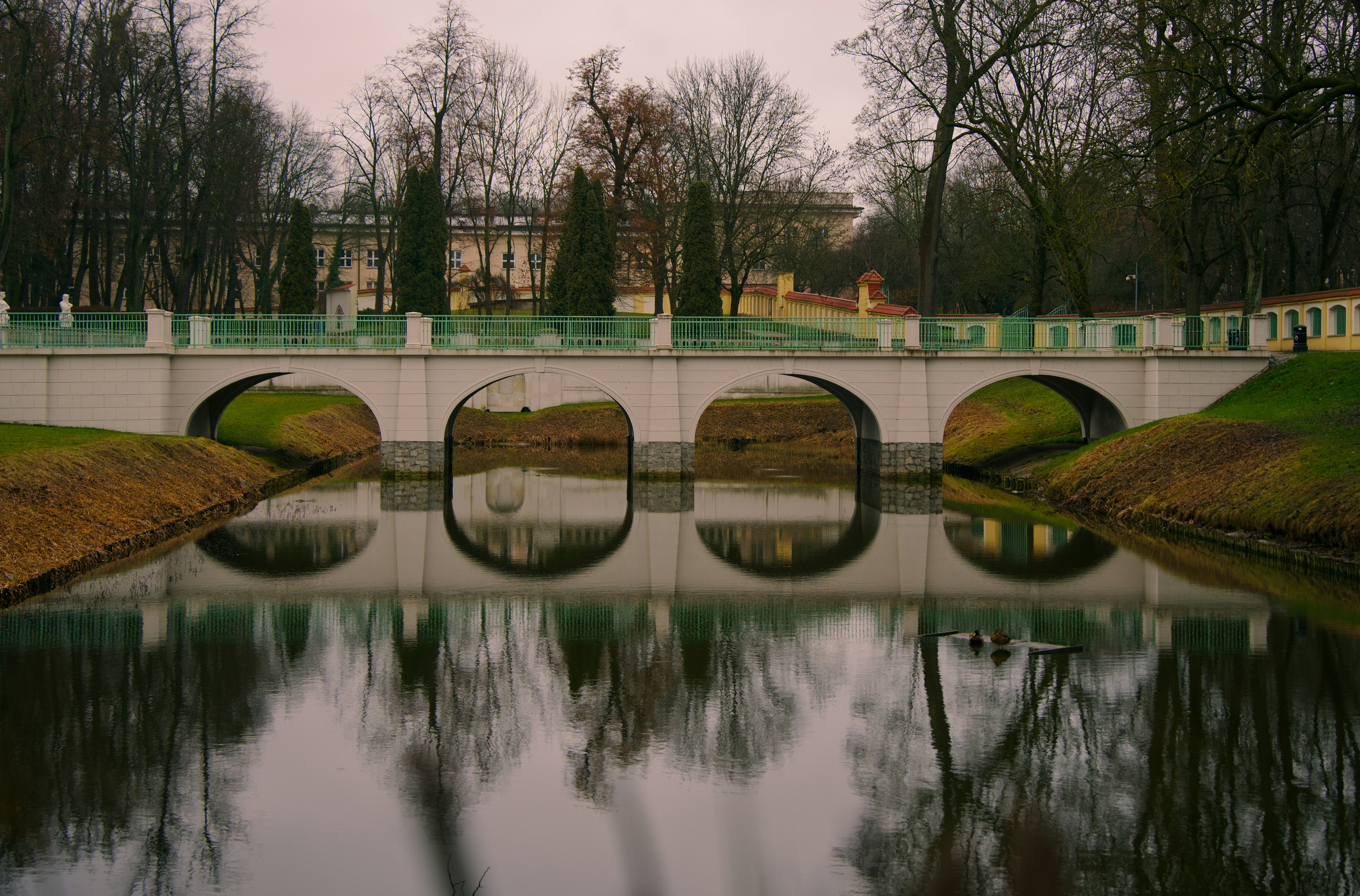 Photo by Stanisław Lul with Sony Alpha 7 IV