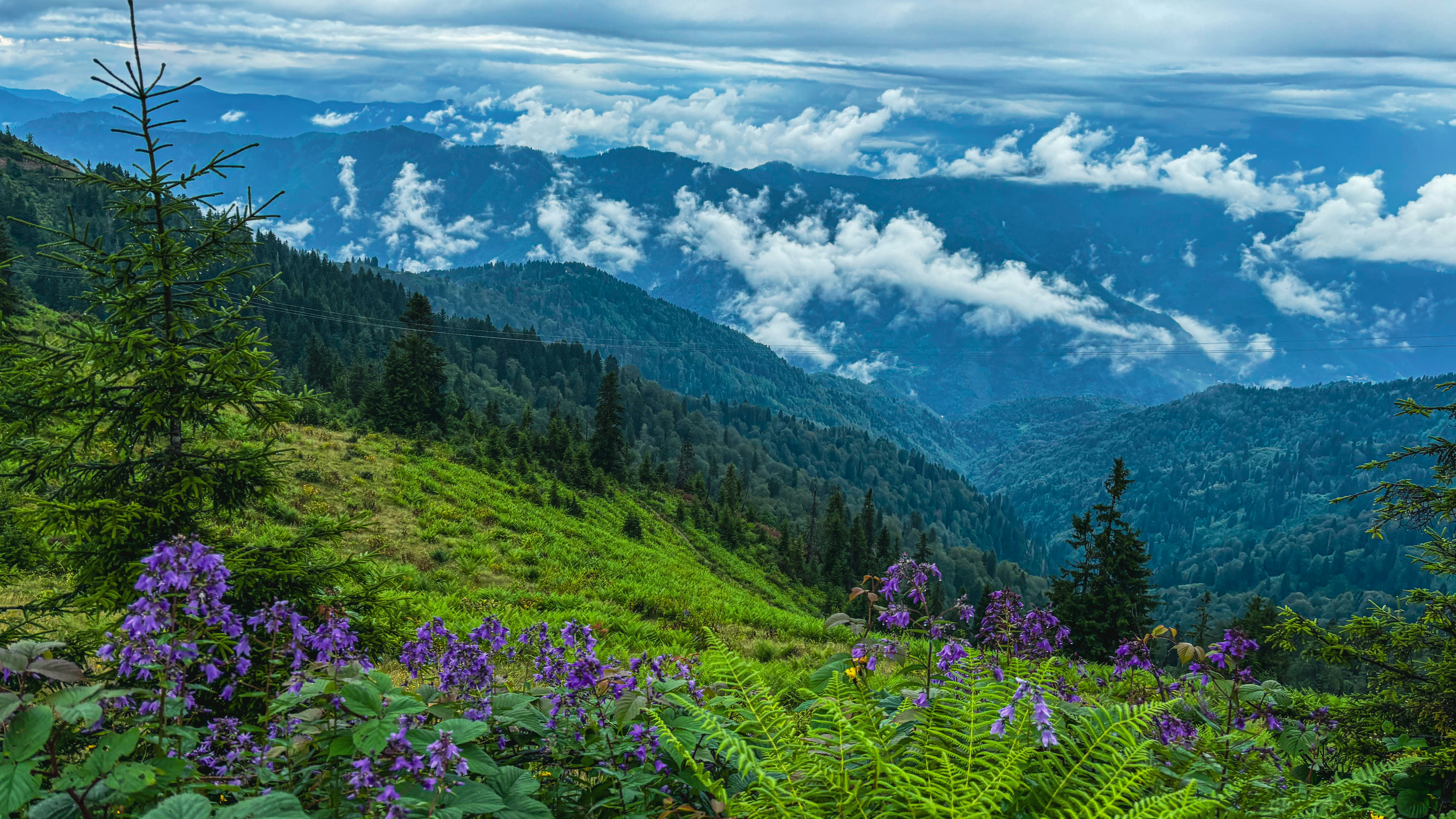 Photo by ali messlmani with Apple iPhone 15