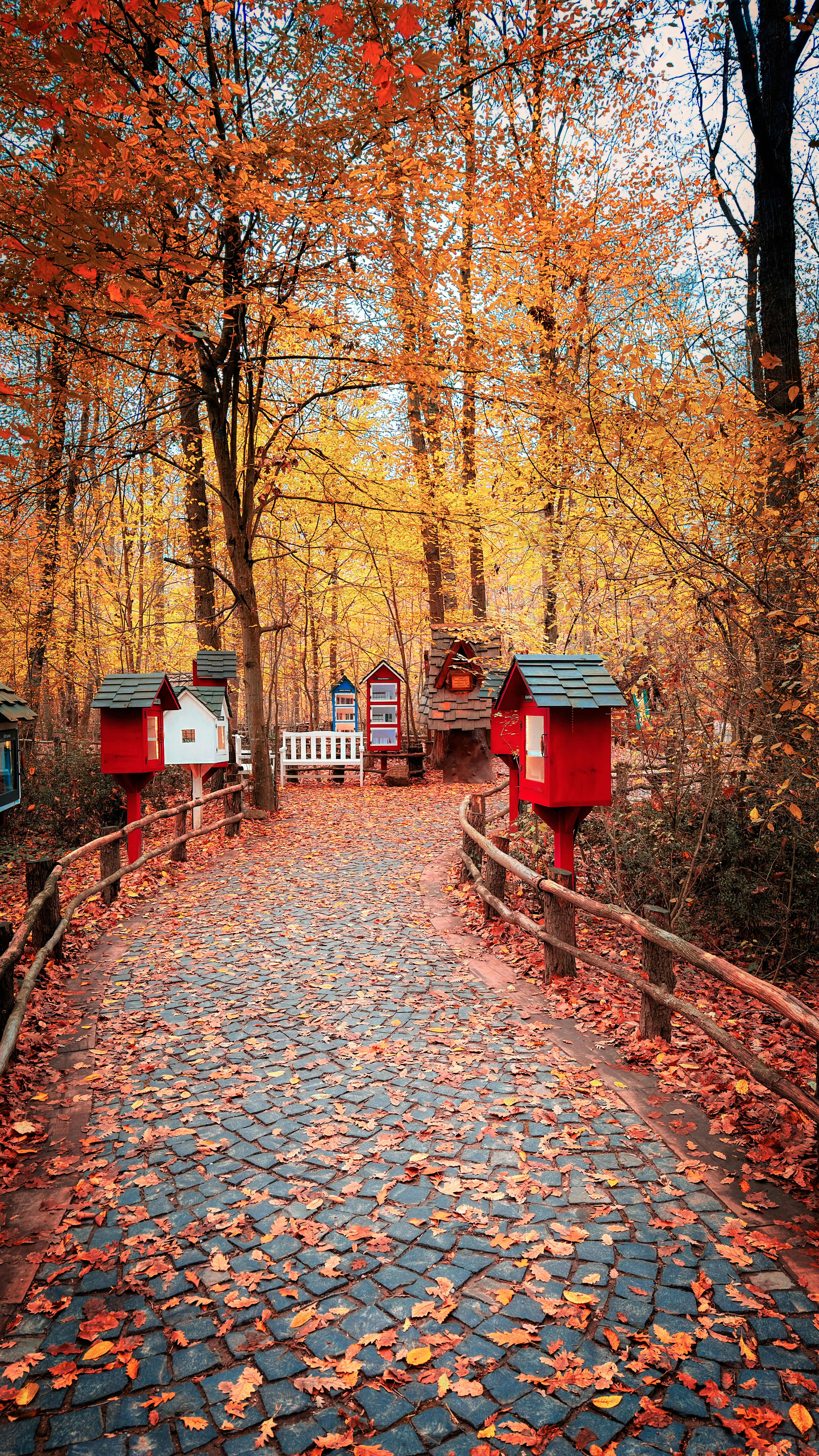Palette of orange leaves lines a cobblestone path flanked by small colorful mailboxes in a sunlit autumn forest.