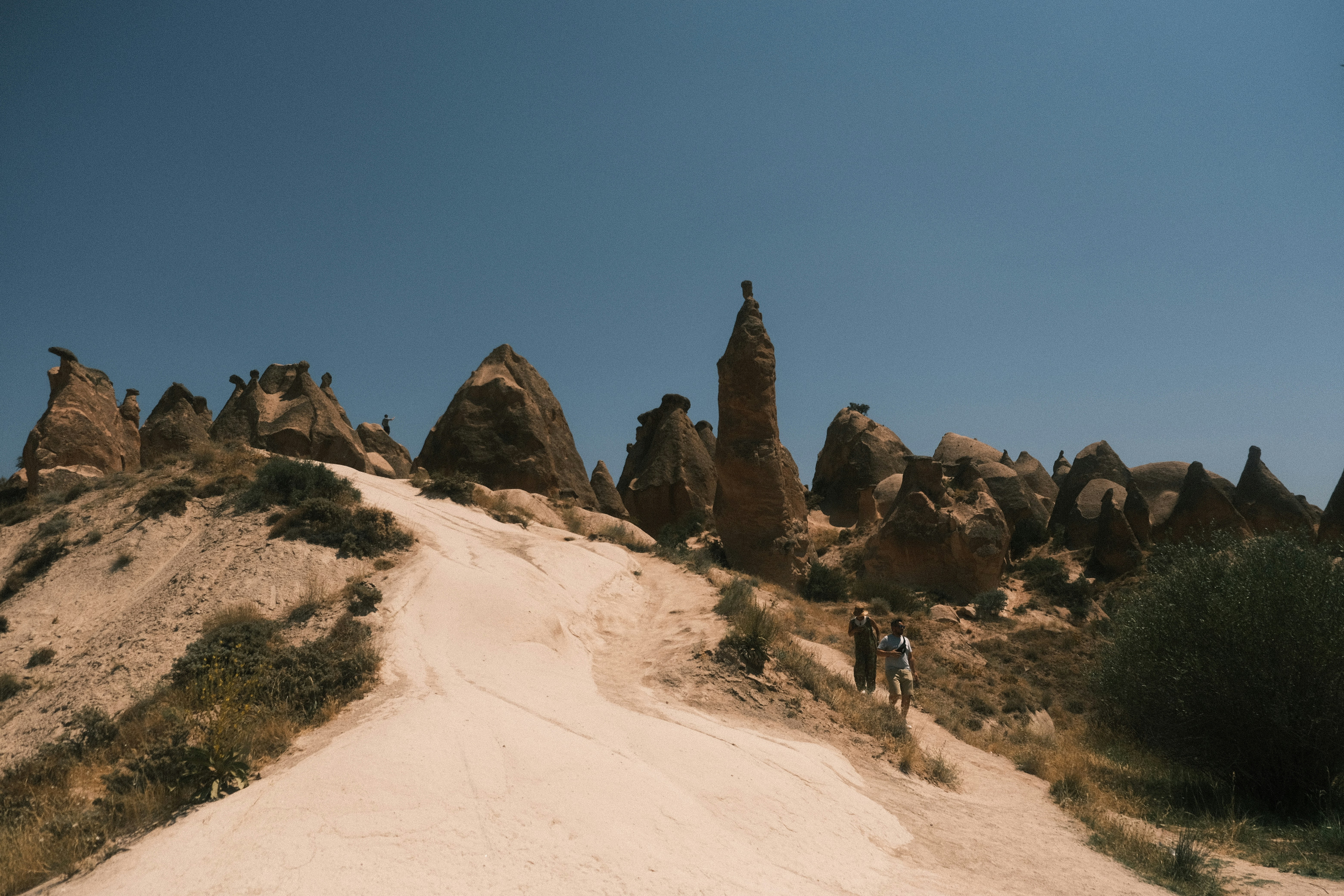 Stone Sentinels on a Desert Ridge