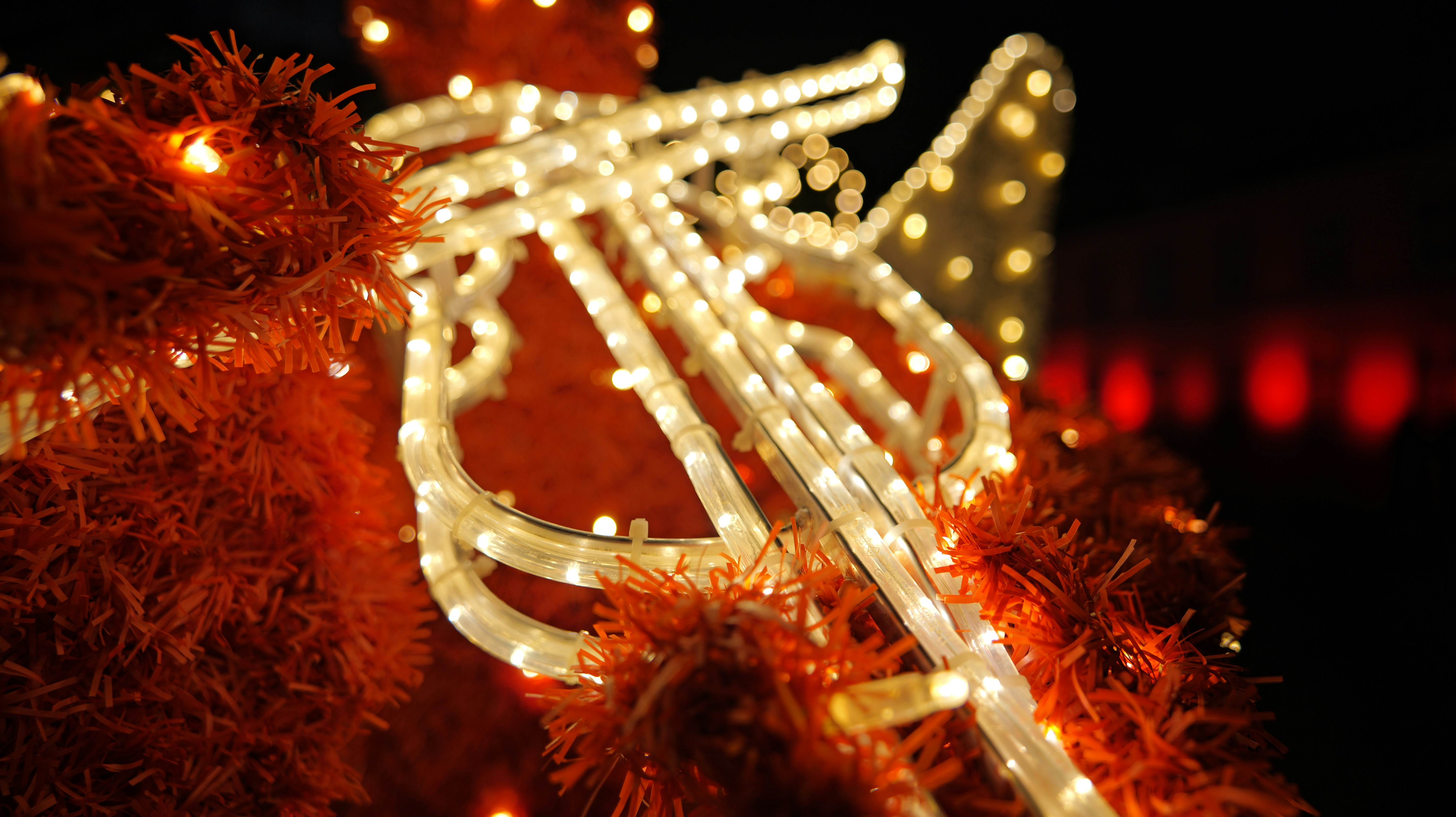 Sample photo from Panasonic Lumix S5 II