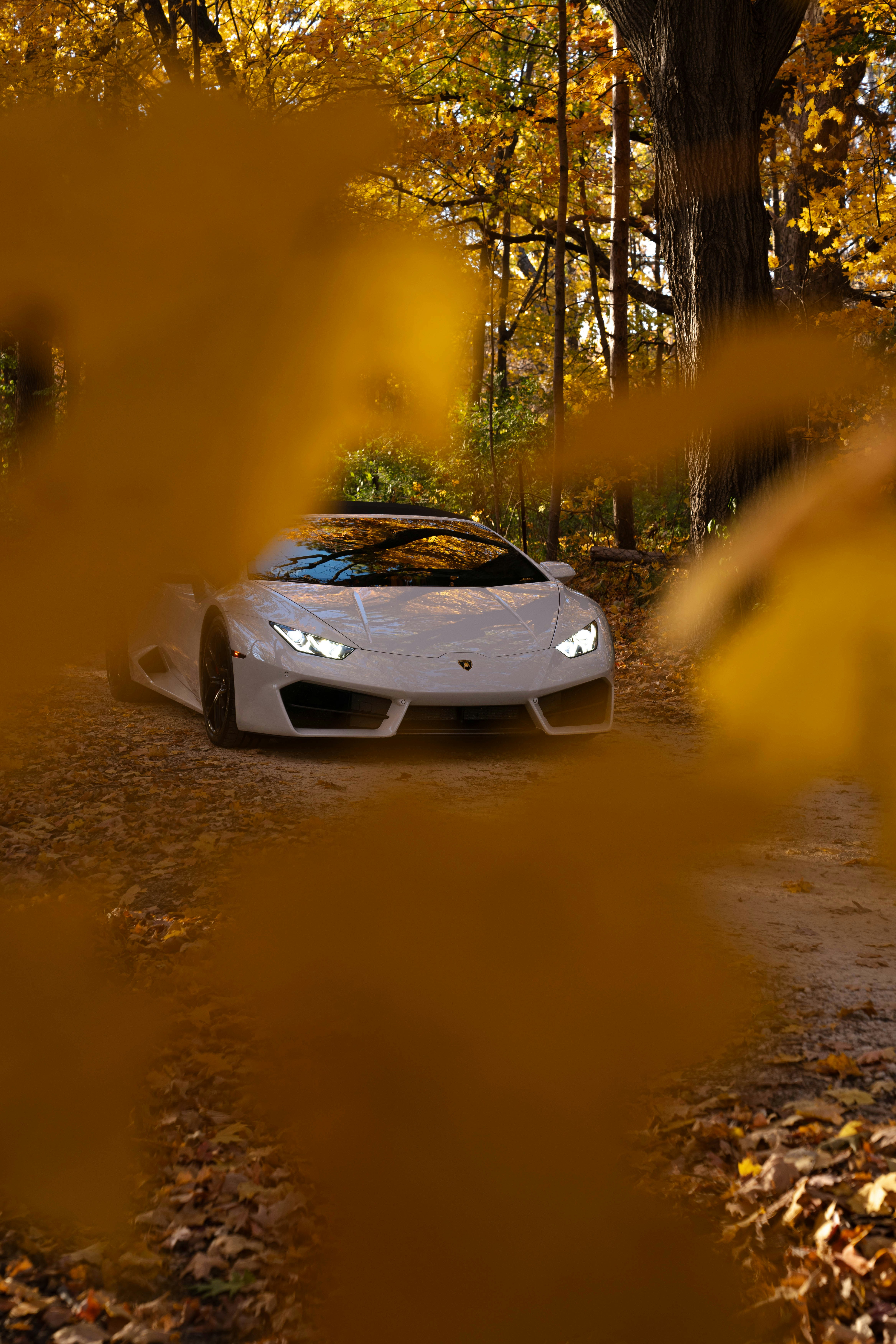 Photo by NVZN Media with Sony Alpha 7 IV