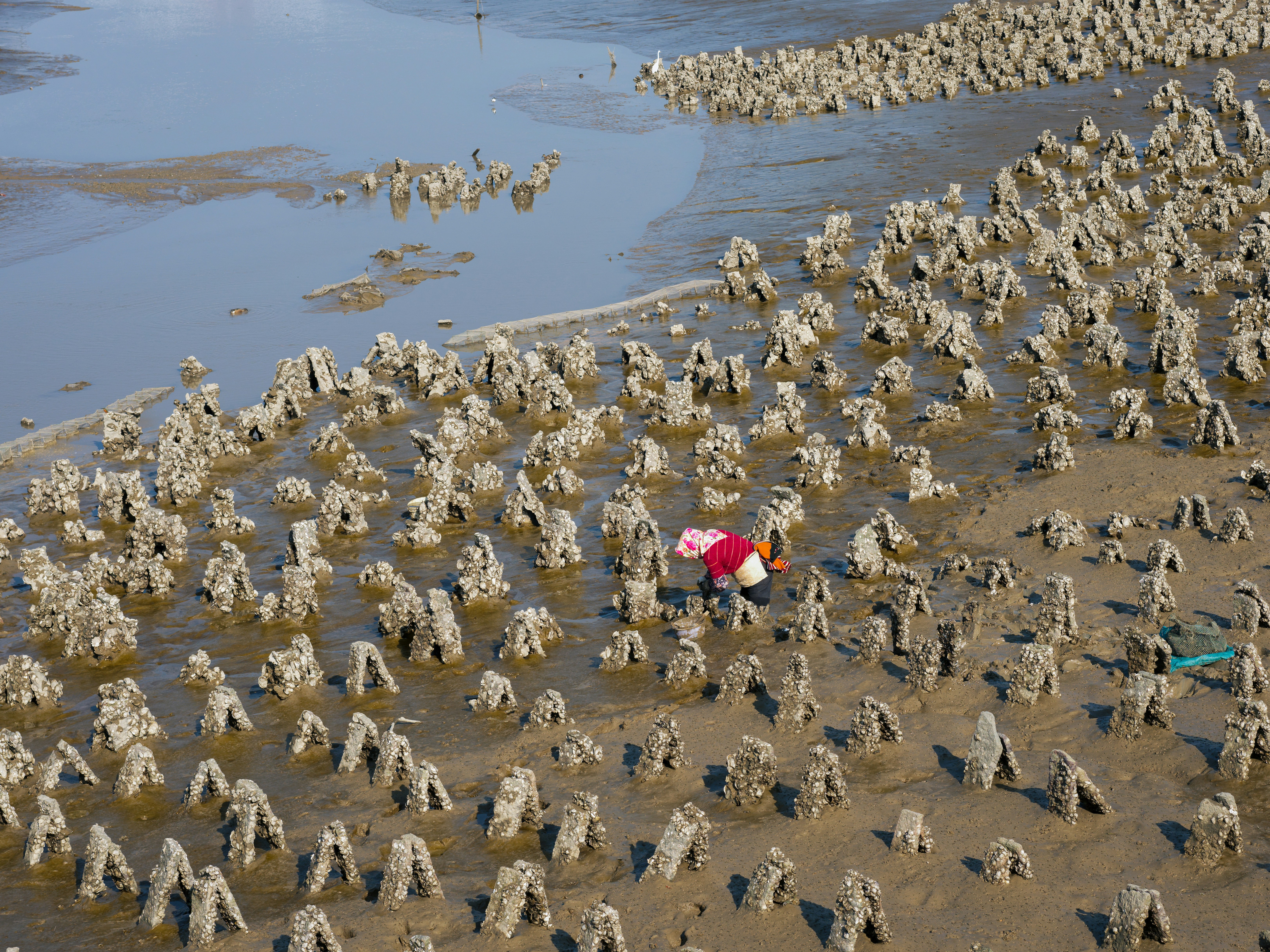 Red Umbrella Among Tidal Chalk Stacks at Low Tide