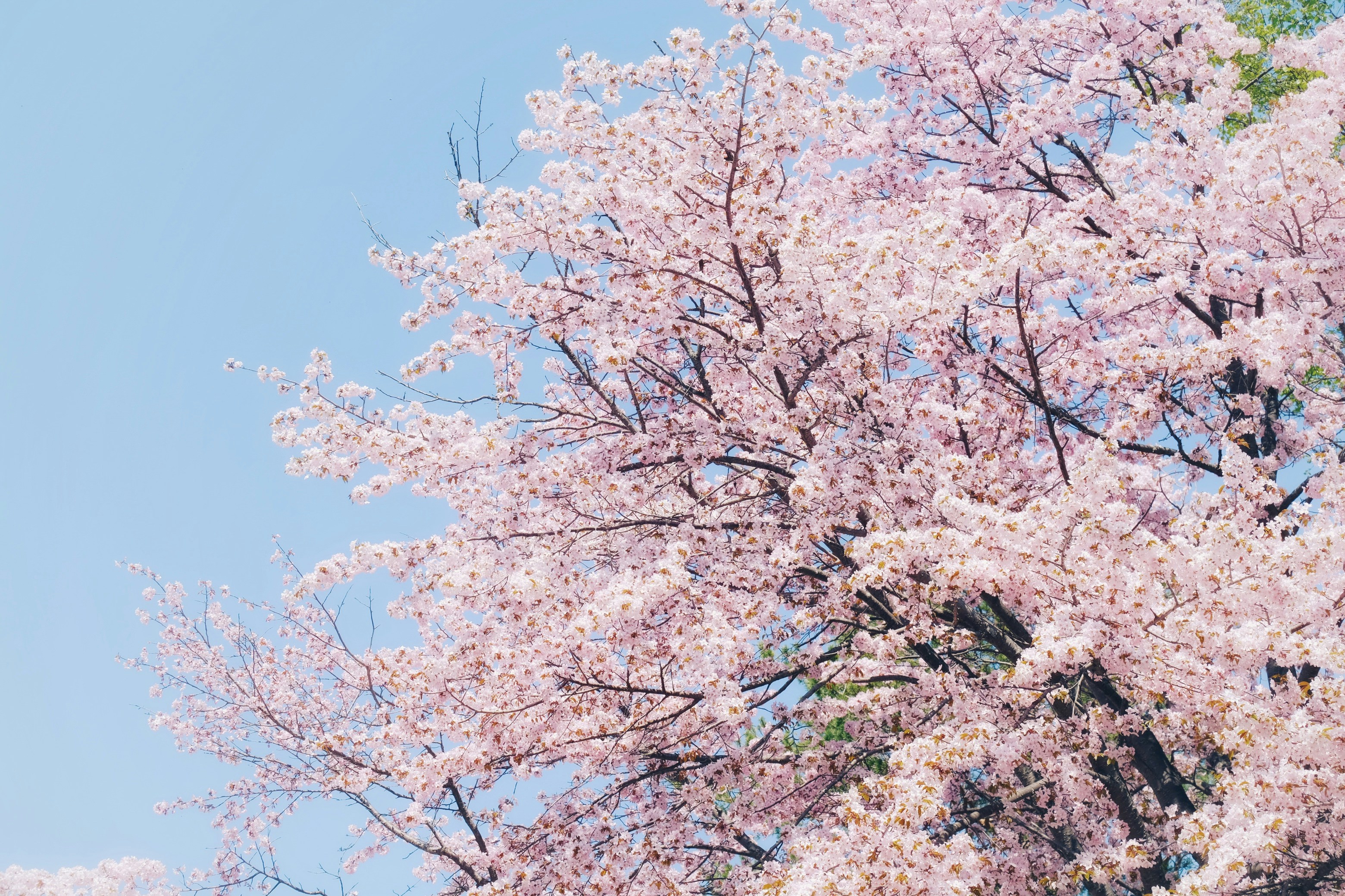 Photo by Erys Shape with Fujifilm X-T30