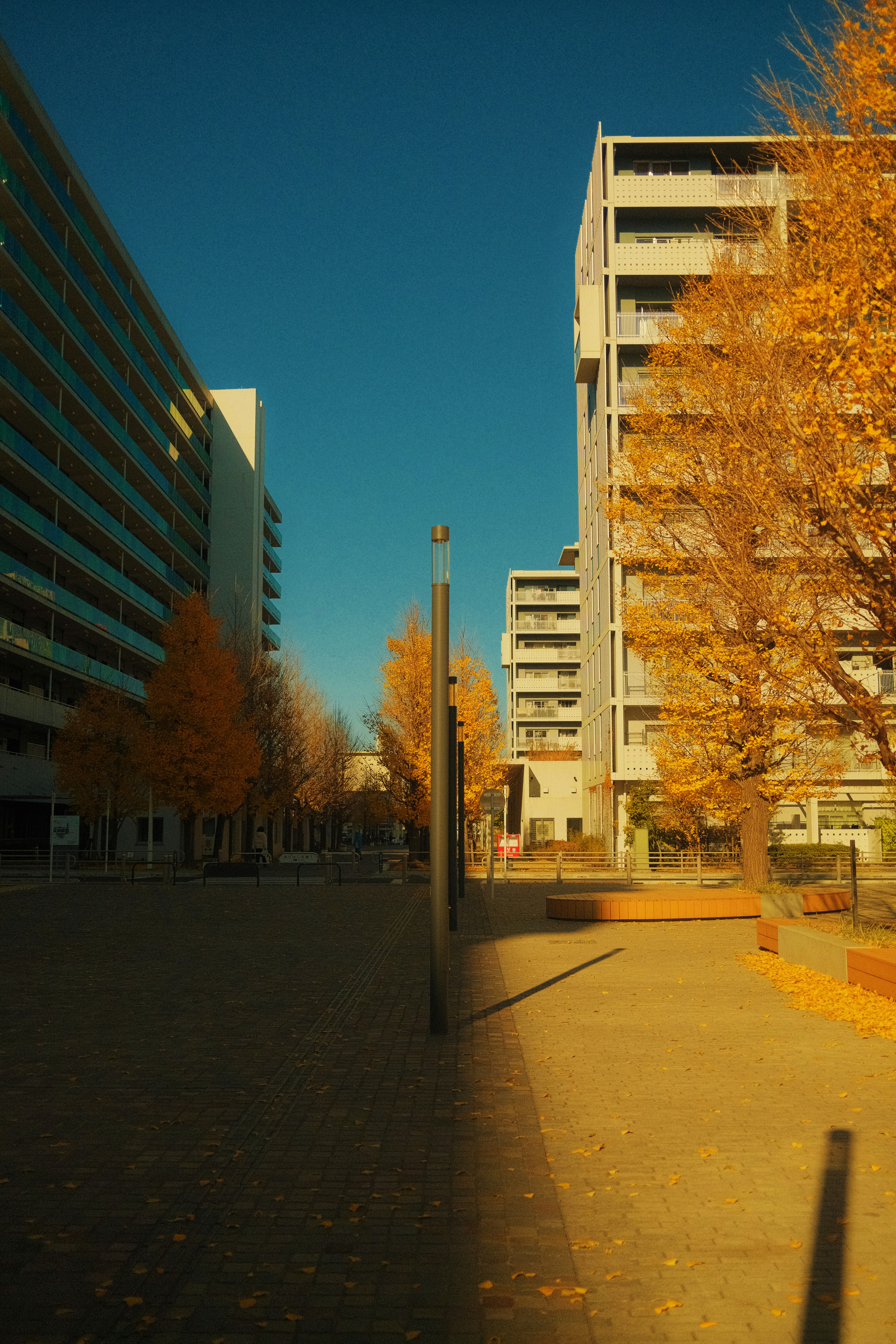 Photo by ZENG YILI with Fujifilm X100V