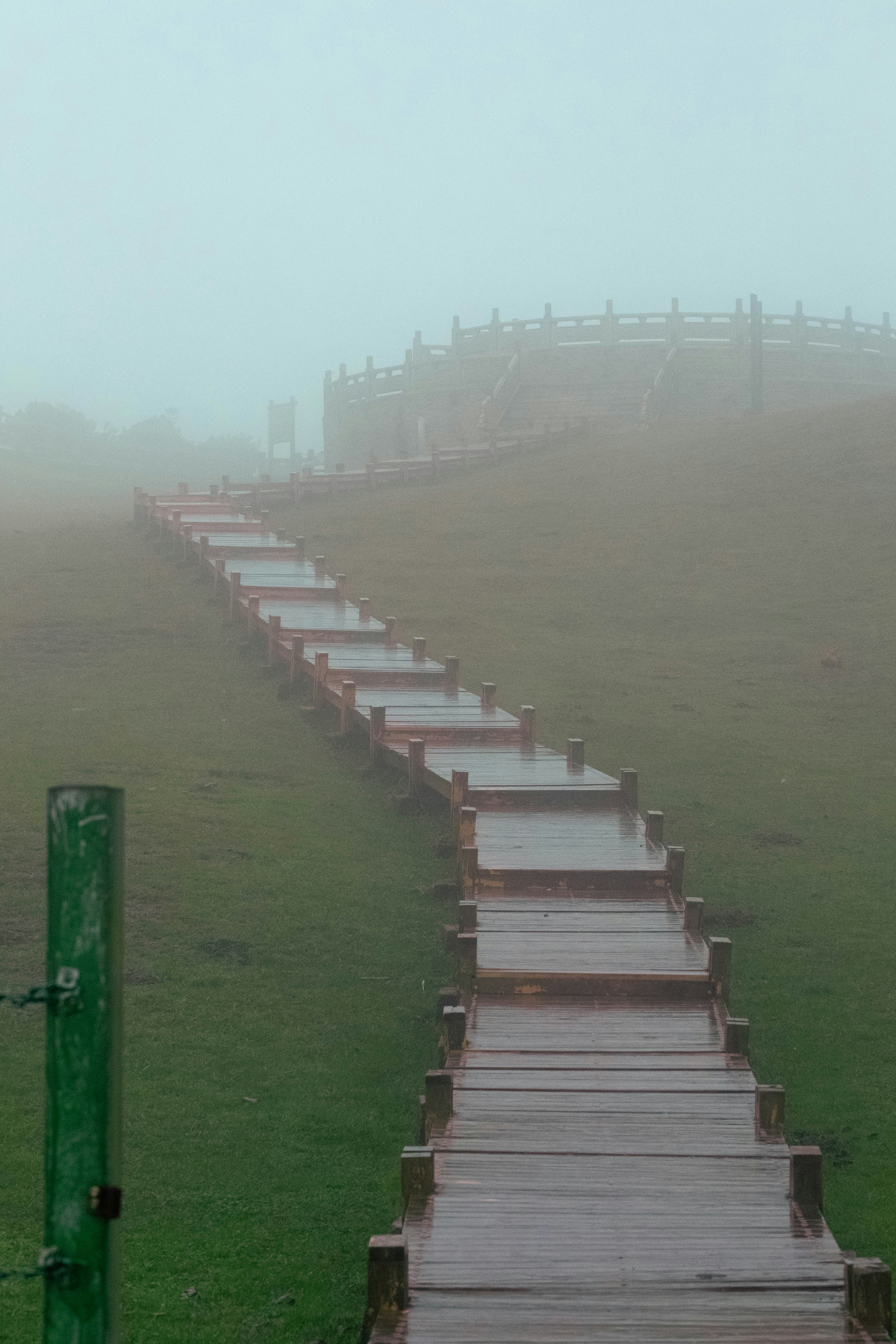 Mist-Softened Steps: A Gentle Ascent into Fog
