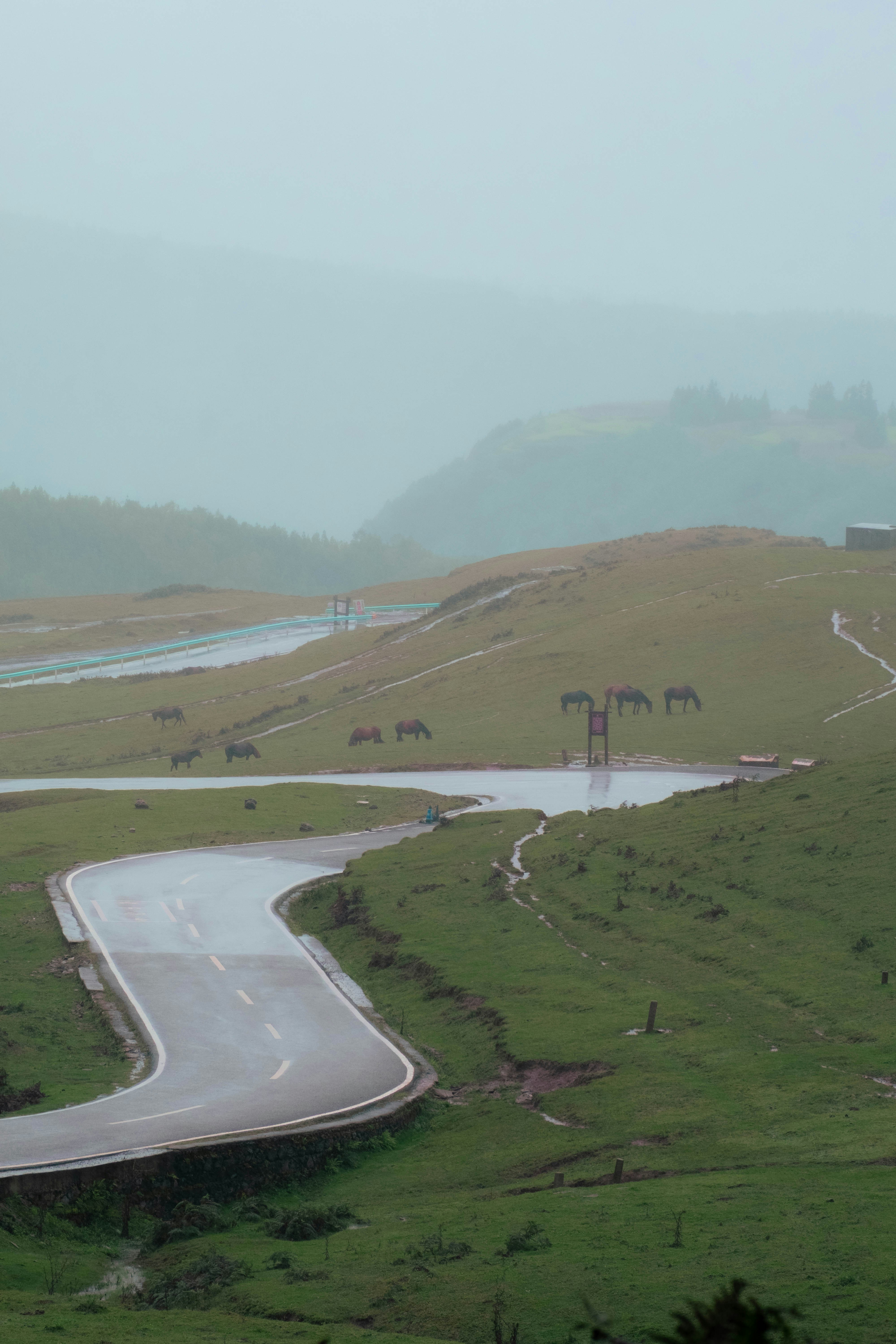 Meandering Road Through Misty Hills