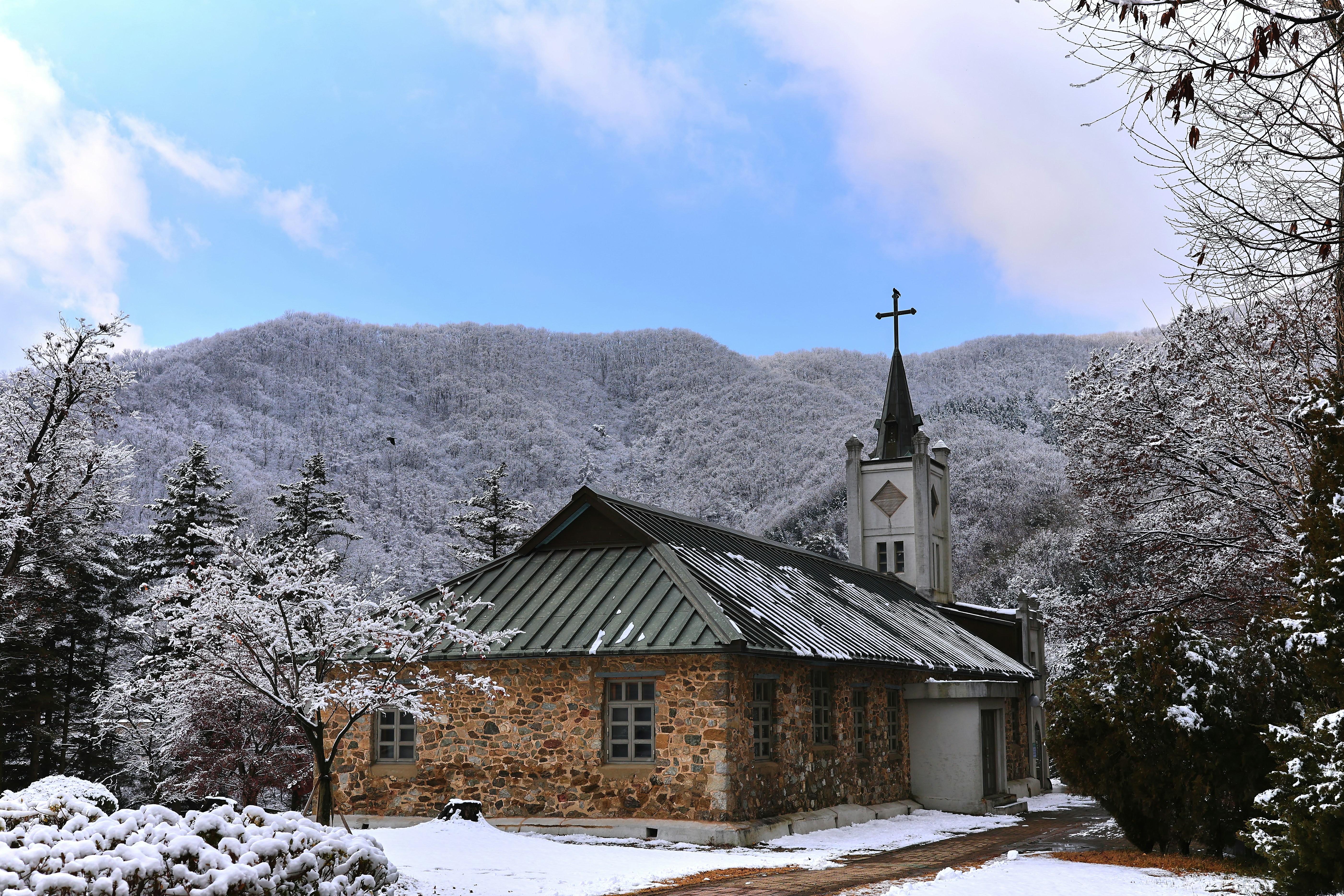 Photo by J. Young Jeong with Canon EOS R6 Mark II