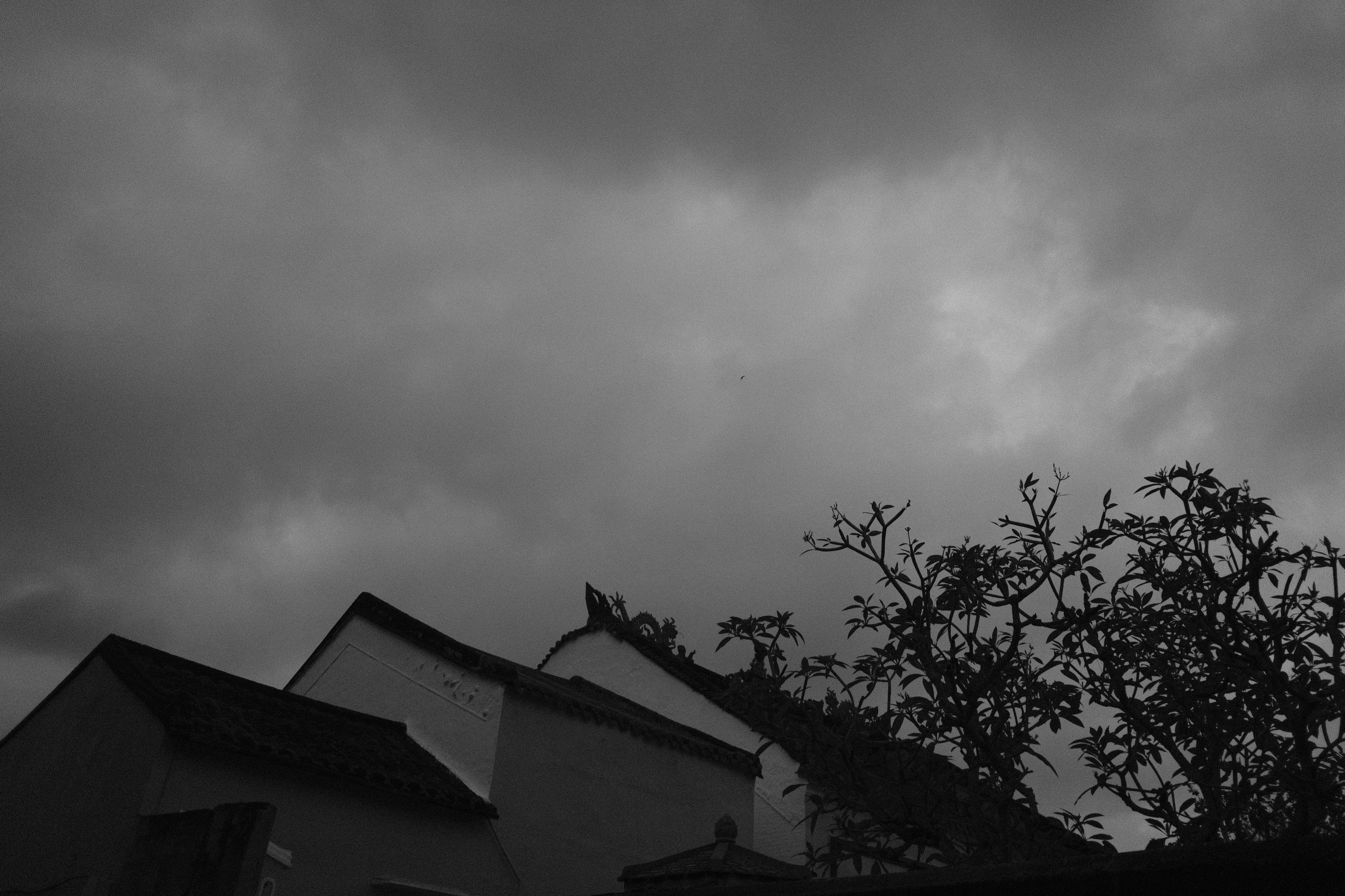 Photo by Hoi An Photographer with Fujifilm X-E3