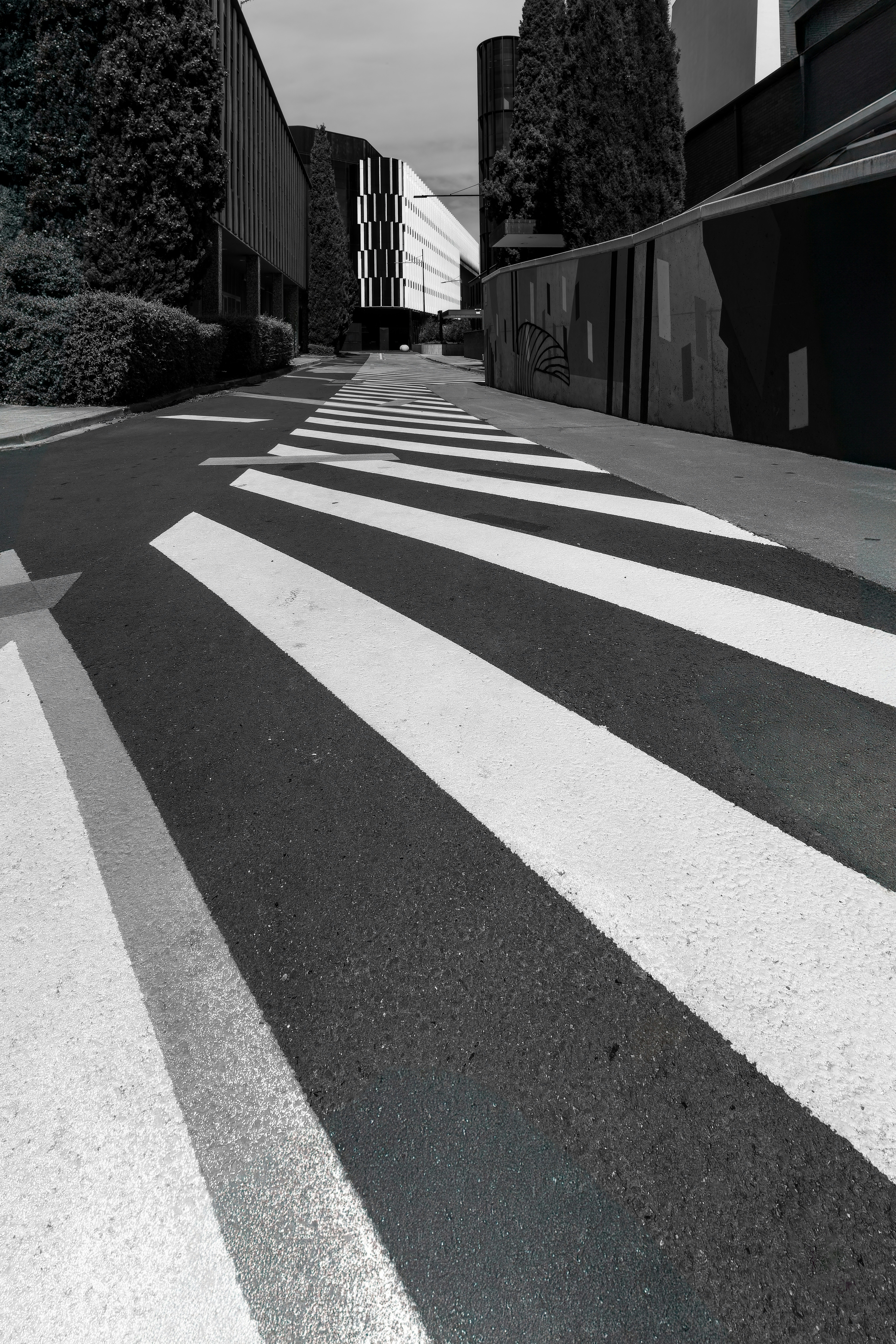 Photo by Warren Griffiths with Fujifilm X-T30