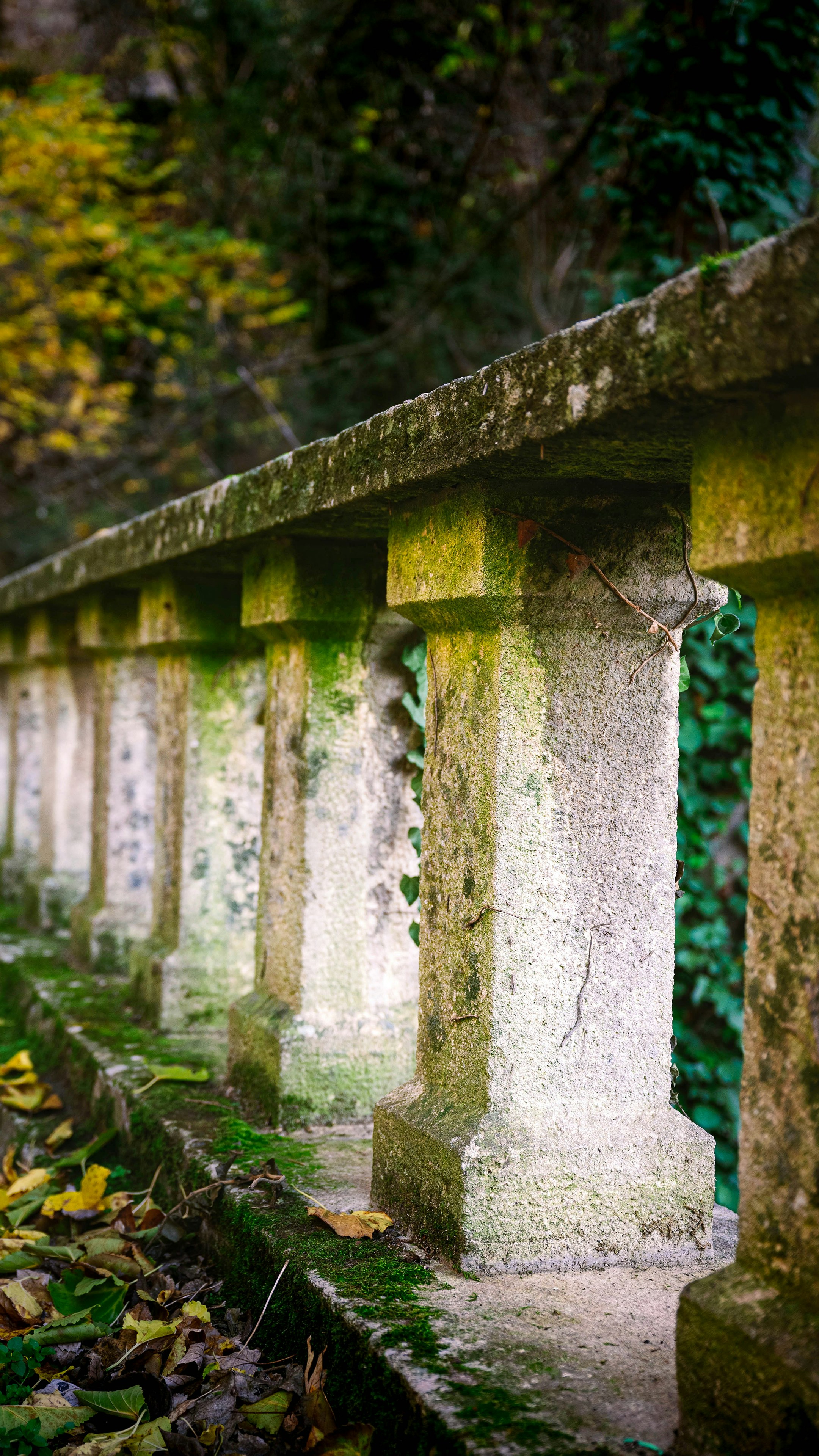 Plamen Petkov (@plambaata) | Komunitas Foto Unsplash