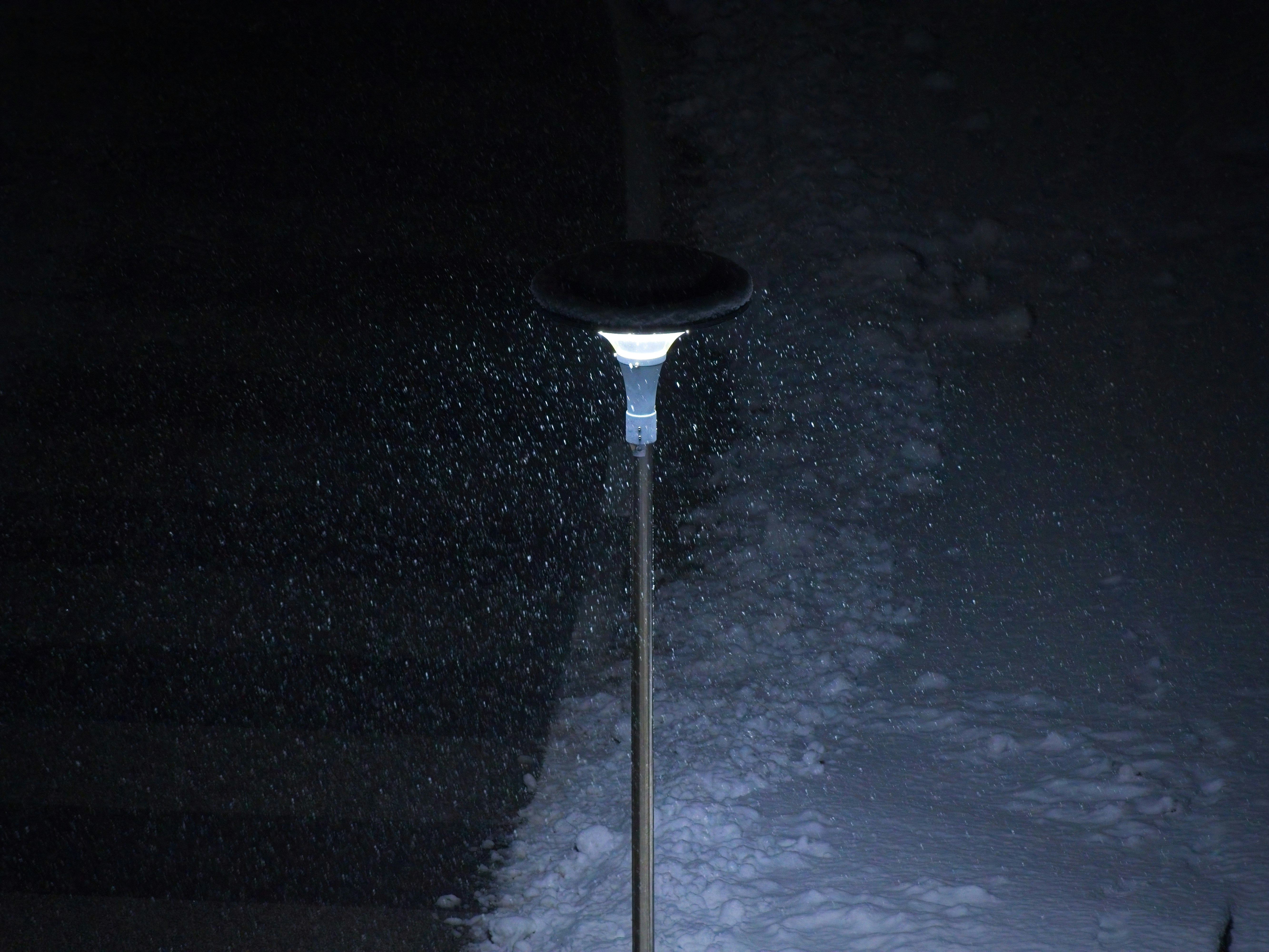 Night Bloom: The Gas Ember of a Glass-Lantern Fountain