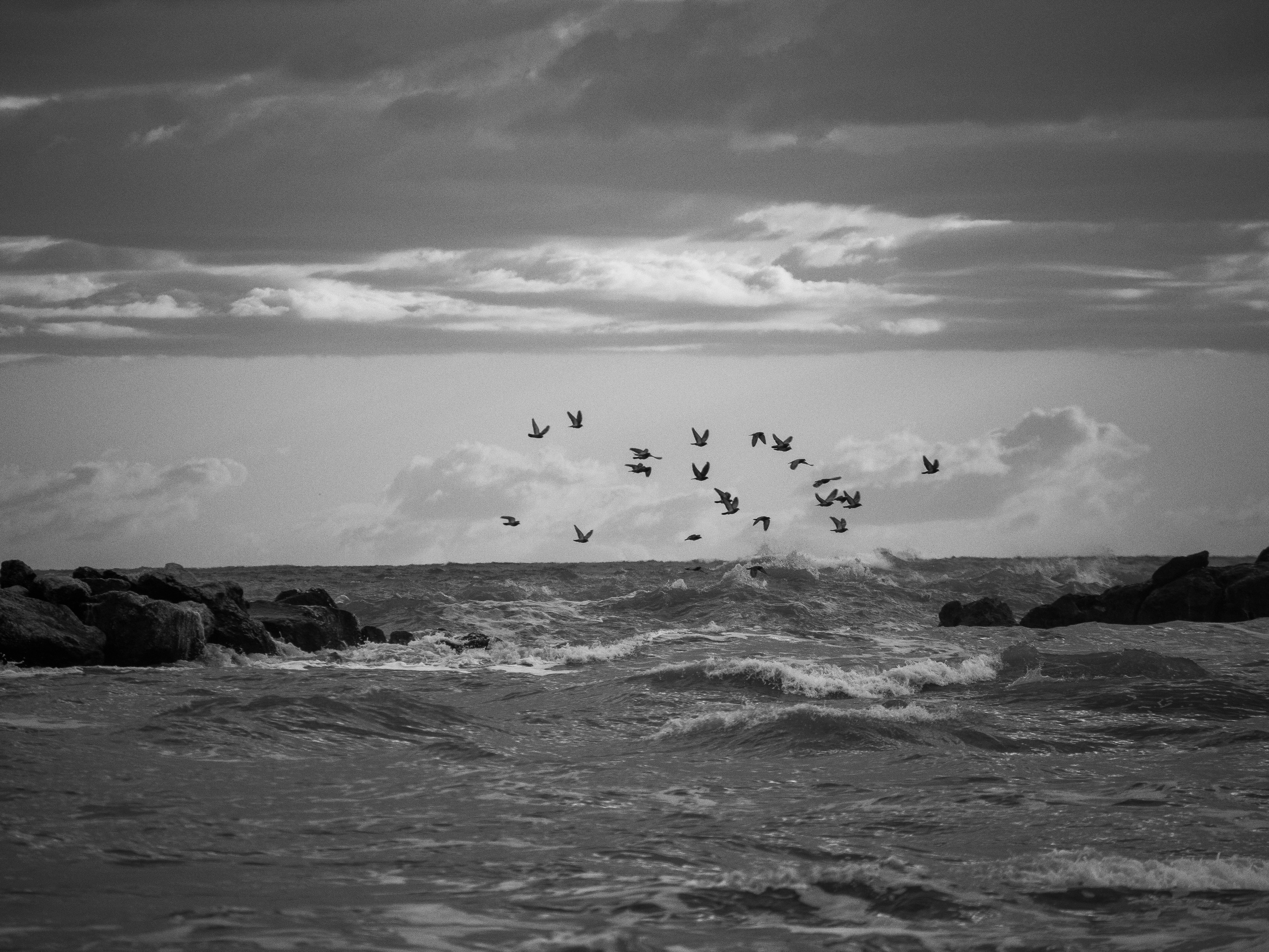 Photo by MAURO FOSSATI with Canon EOS 1200D