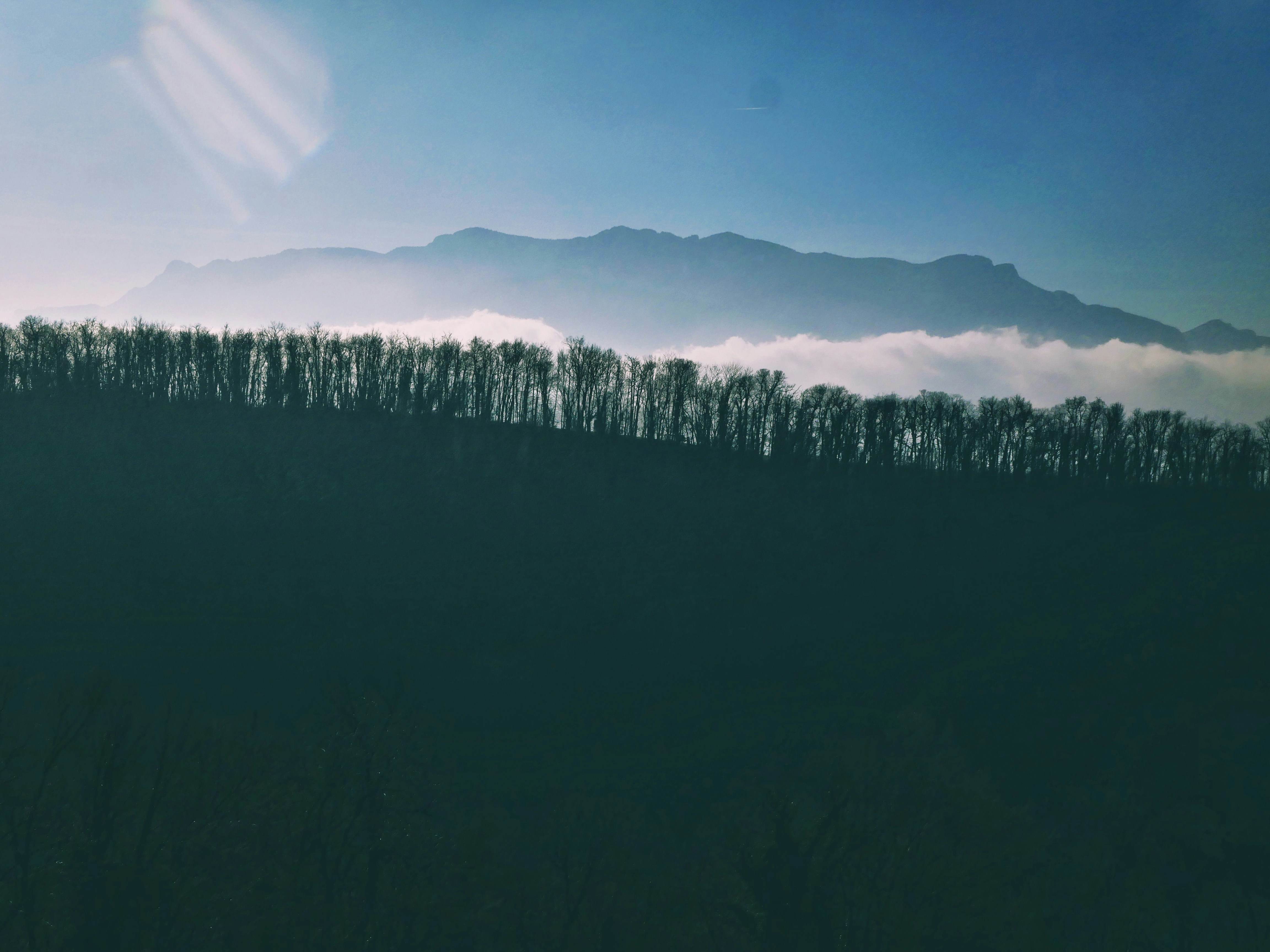 Photo by Umanoide with Panasonic Lumix GH4