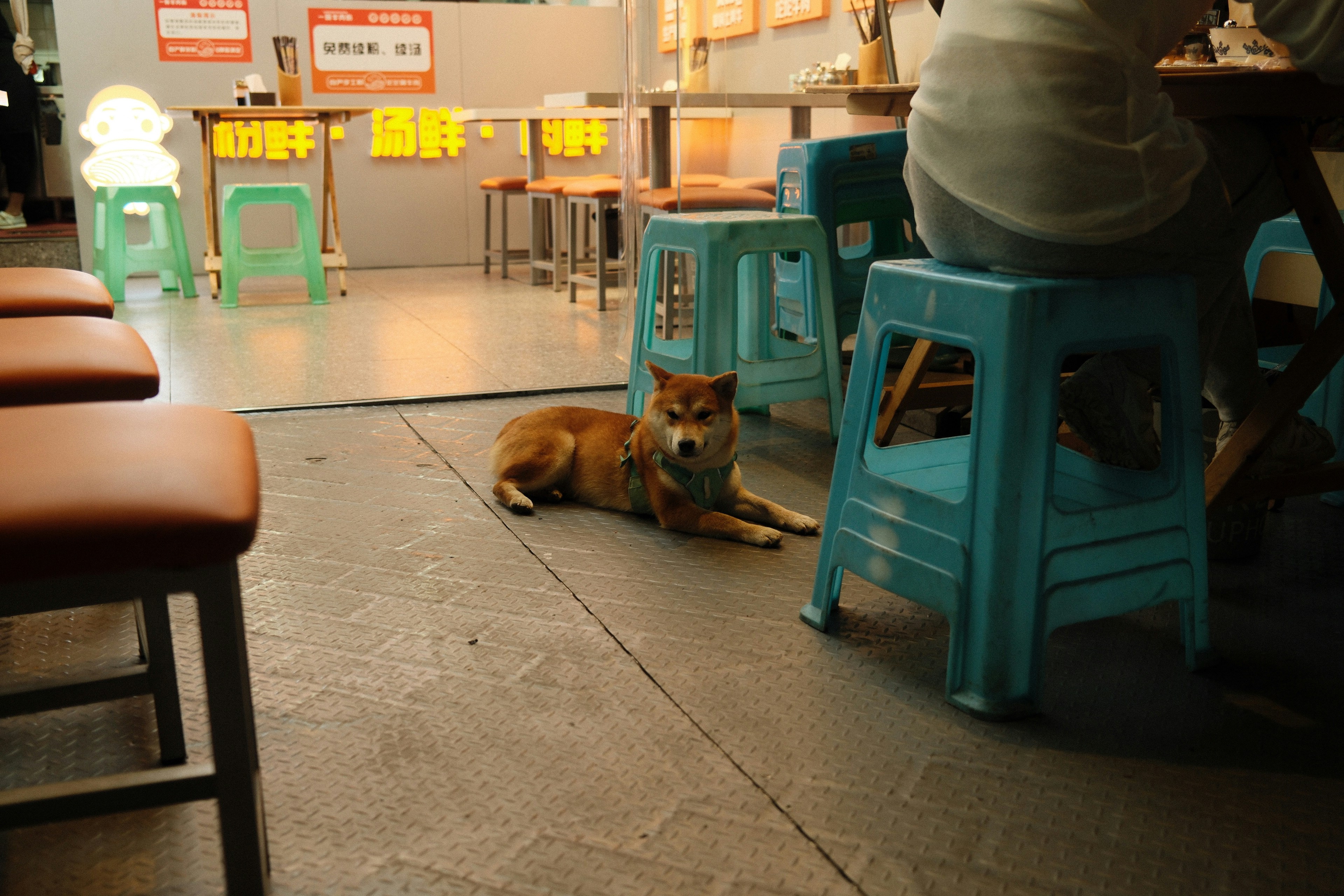 Photo by Xavier Briole with Fujifilm X100VI