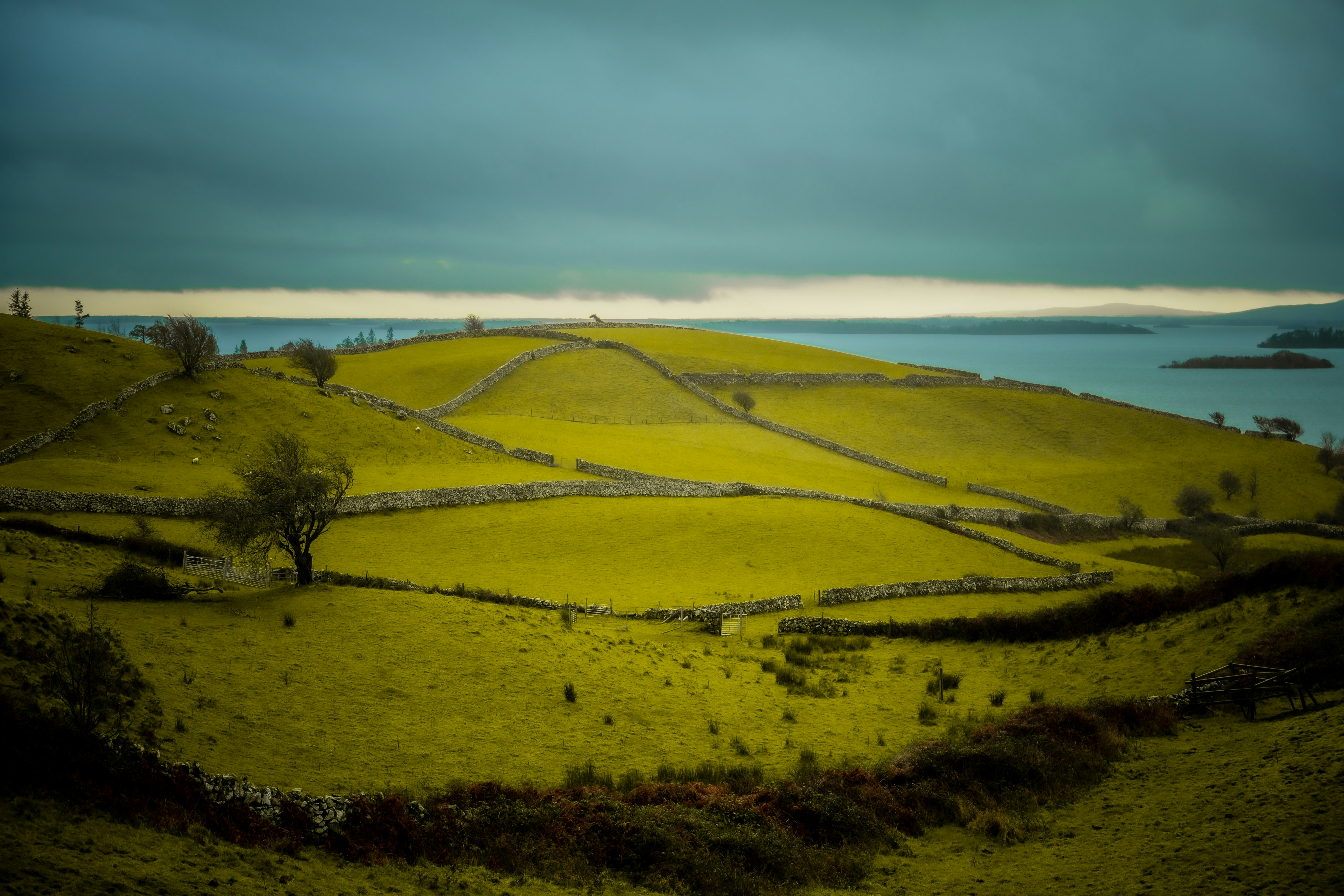 Photo by atelierbyvineeth ... with Fujifilm X-T4