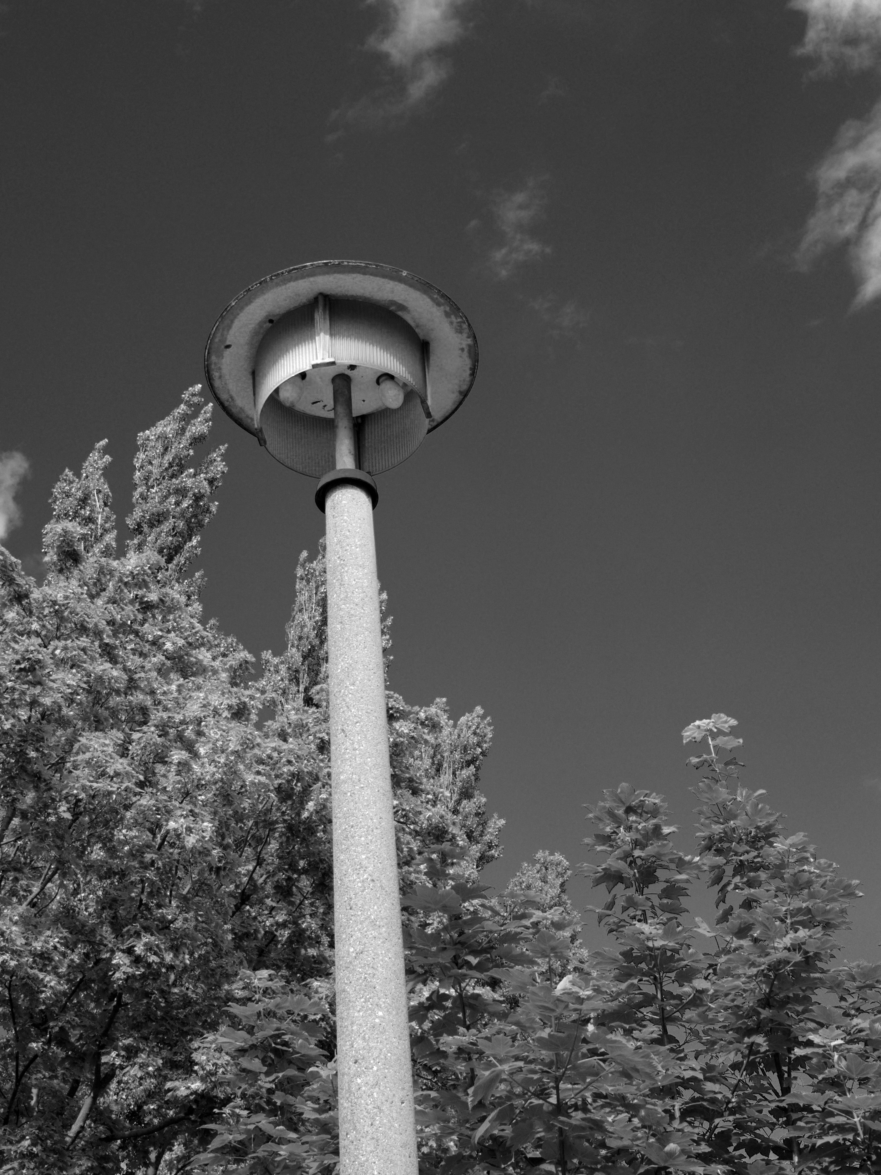 Neon-Blue Dusk: The Quiet Streetlamp Reaching Toward the Sky