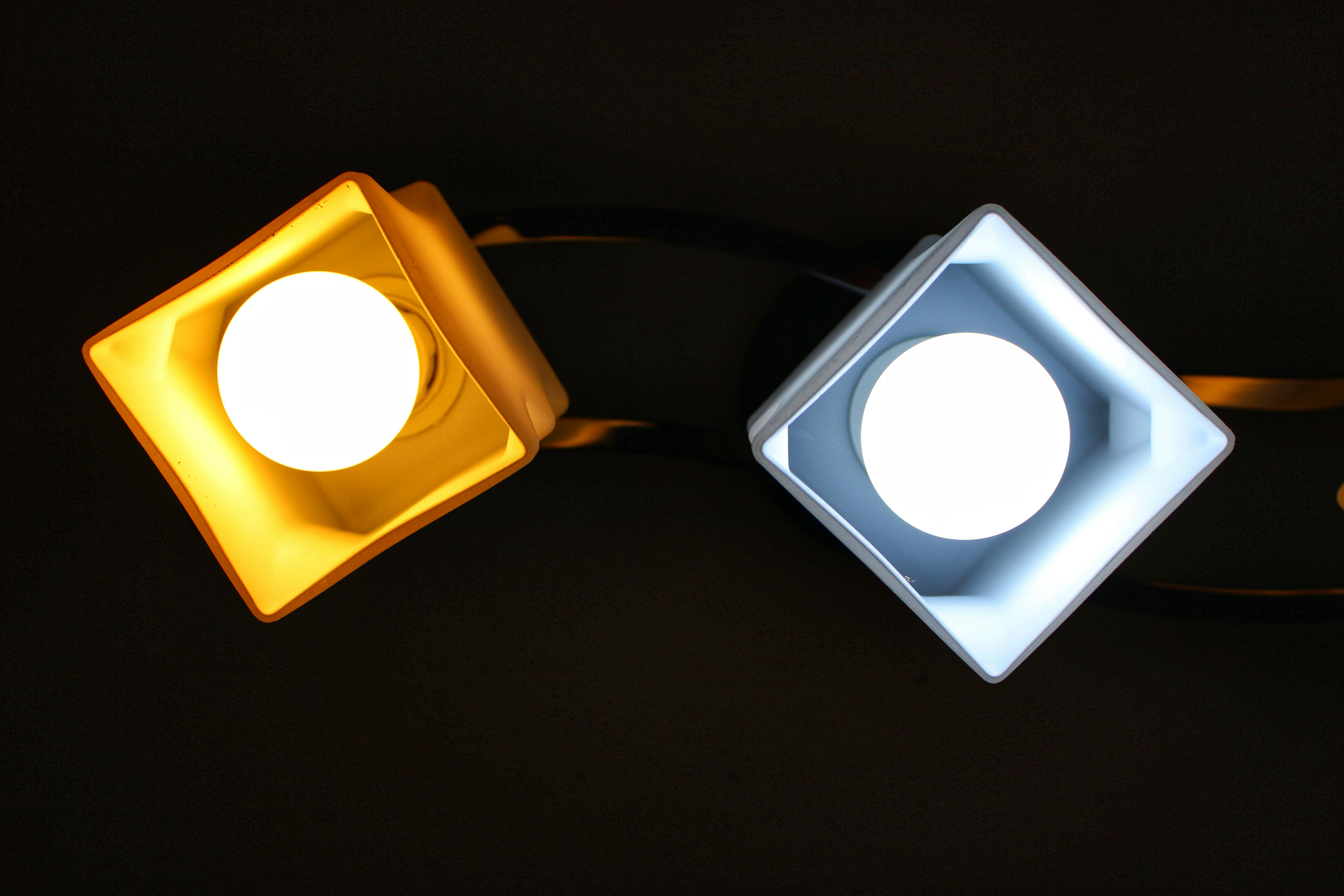 Photo by Dima Terno with Canon EOS 2000D