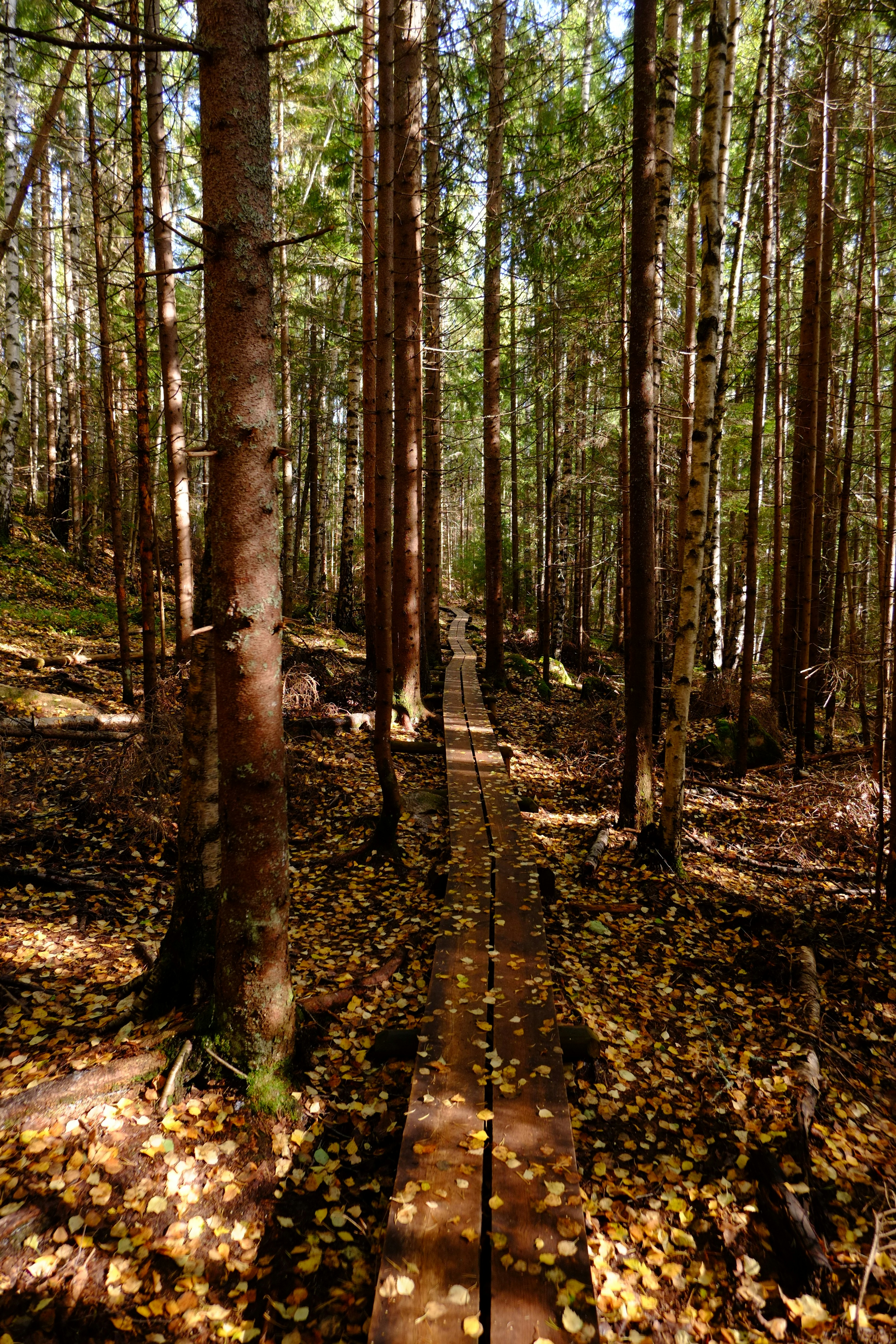 Photo by Bernhard with Fujifilm X-Pro1