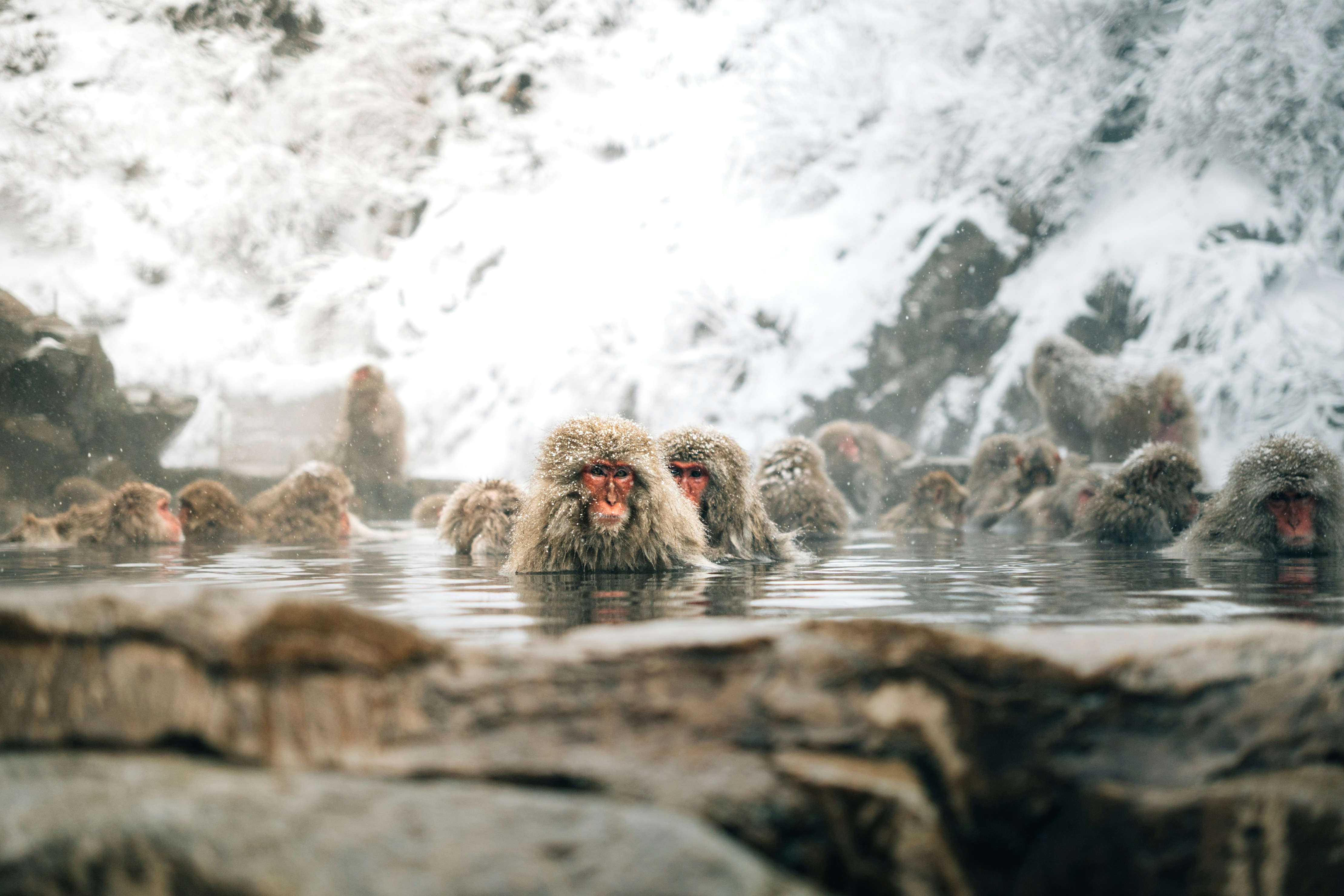 Photo by Joaquin Arenas with Sony Alpha 7 IV