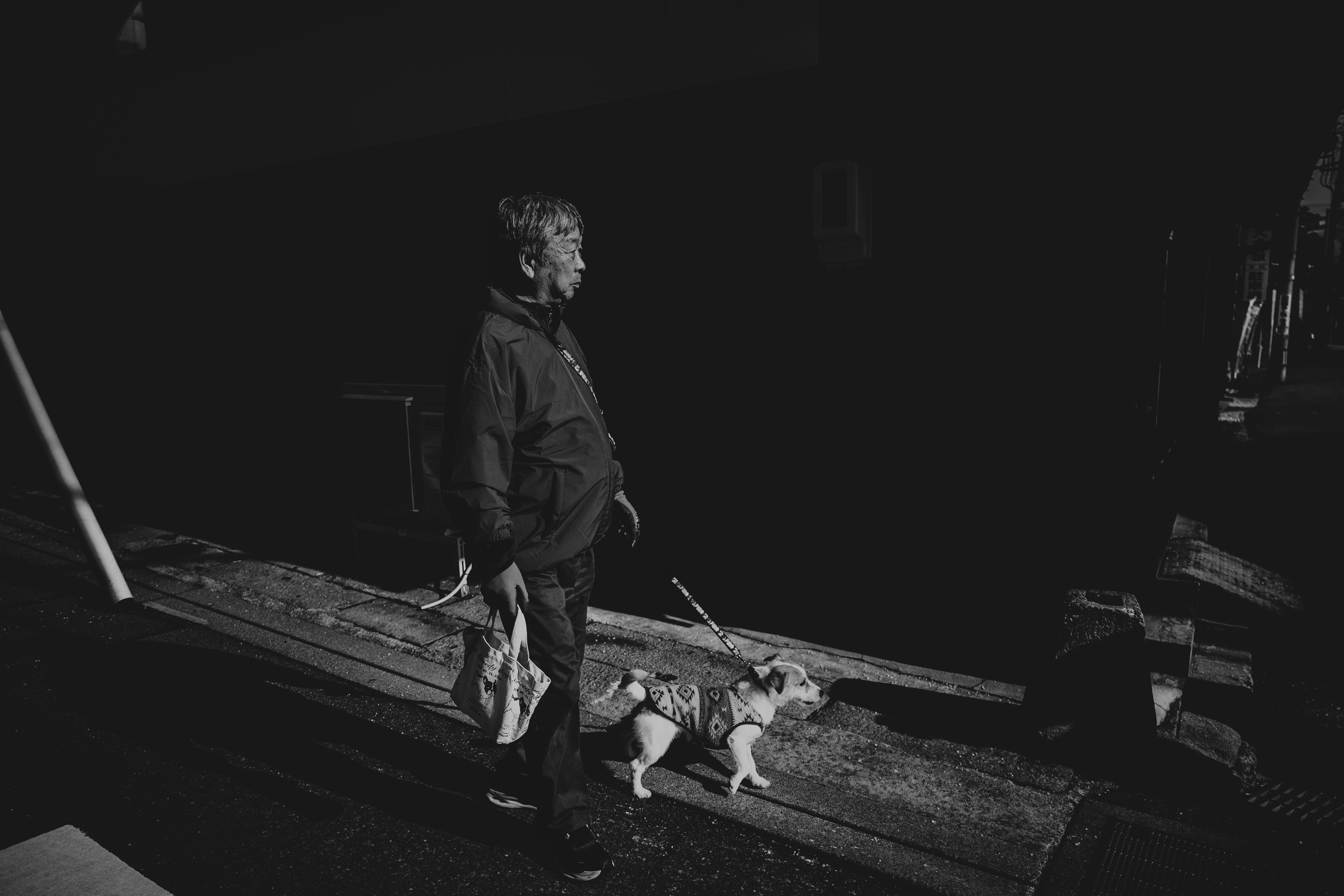 Photo by Joaquin Arenas with Sony Alpha 7 IV