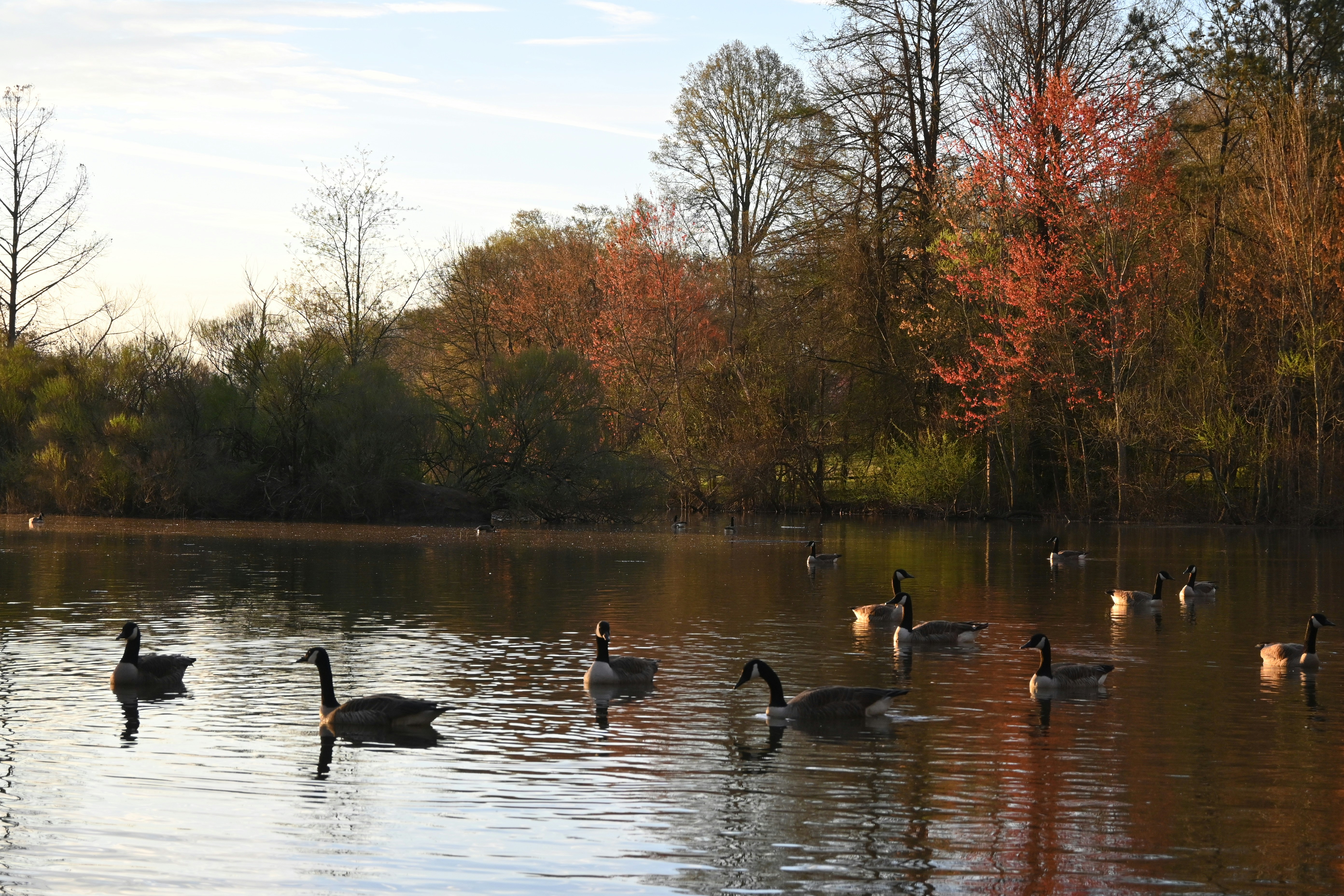 Photo by Karolina Bobek with Nikon Z30