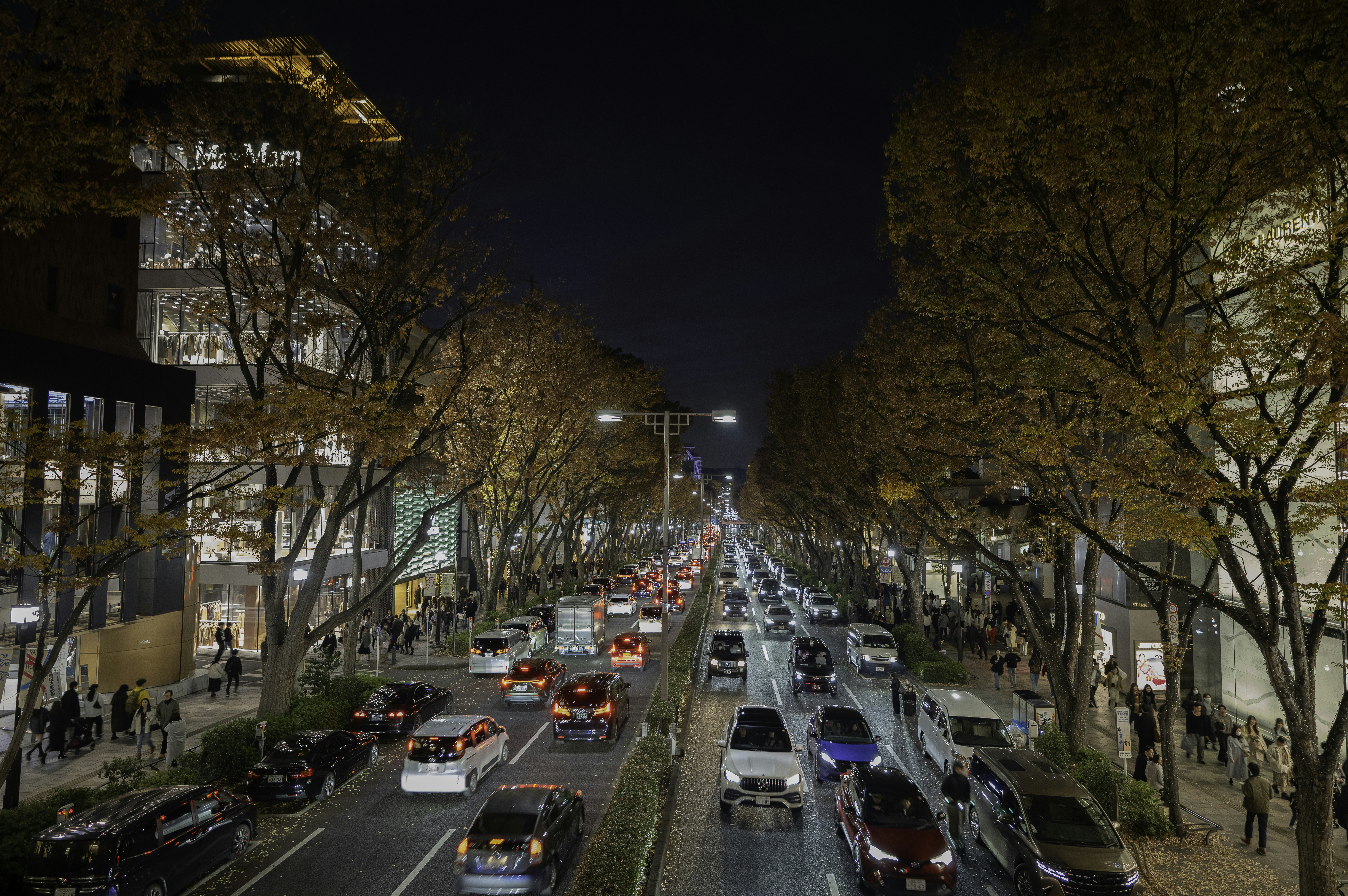 Photo by Kano Takahashi with Sigma fp L