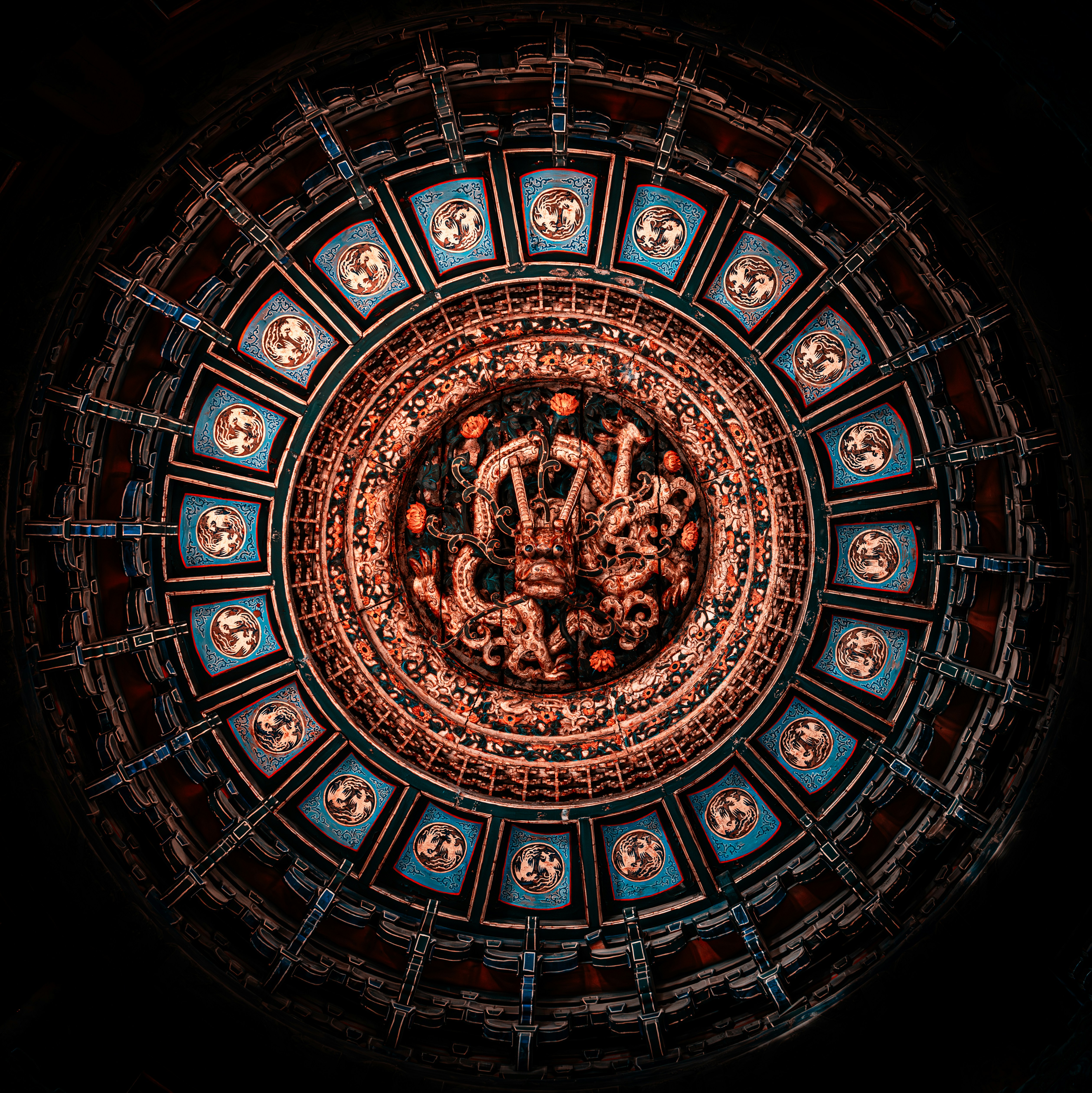 Photo by 晓纲 刘 with Sony Alpha 1 II