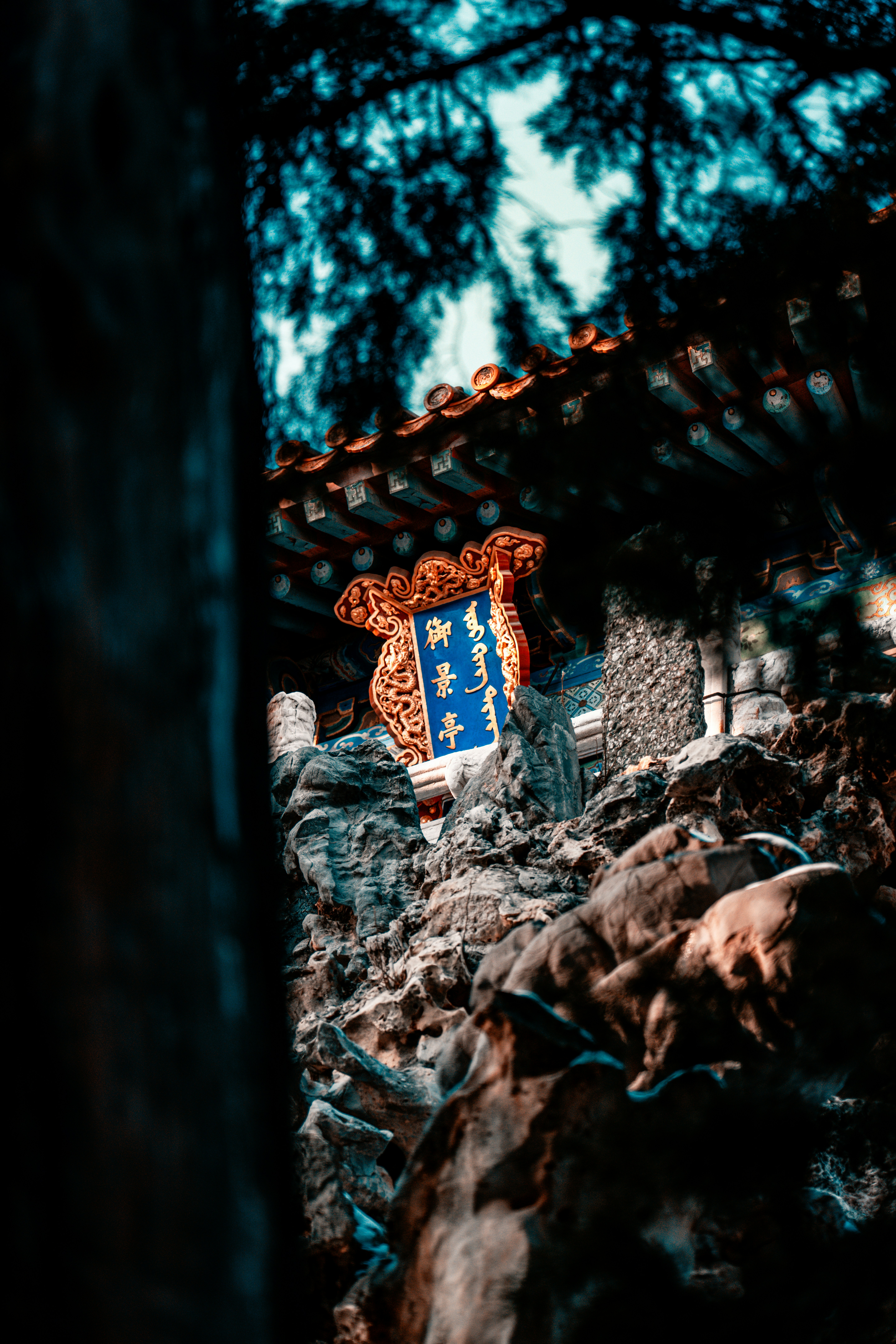 Photo by 晓纲 刘 with Sony Alpha 1 II