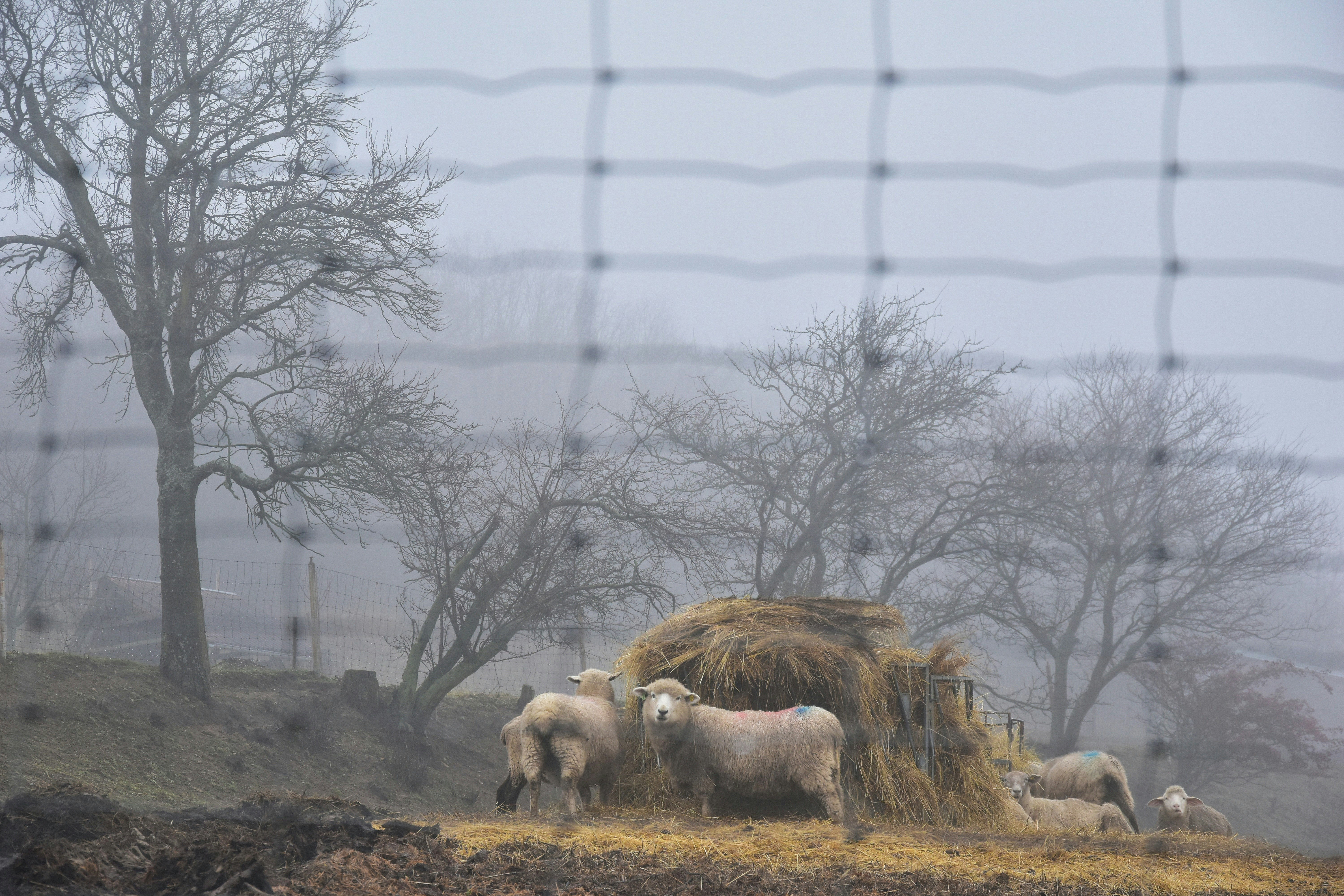 Photo by Sára Sedlmajerová with Nikon D3500