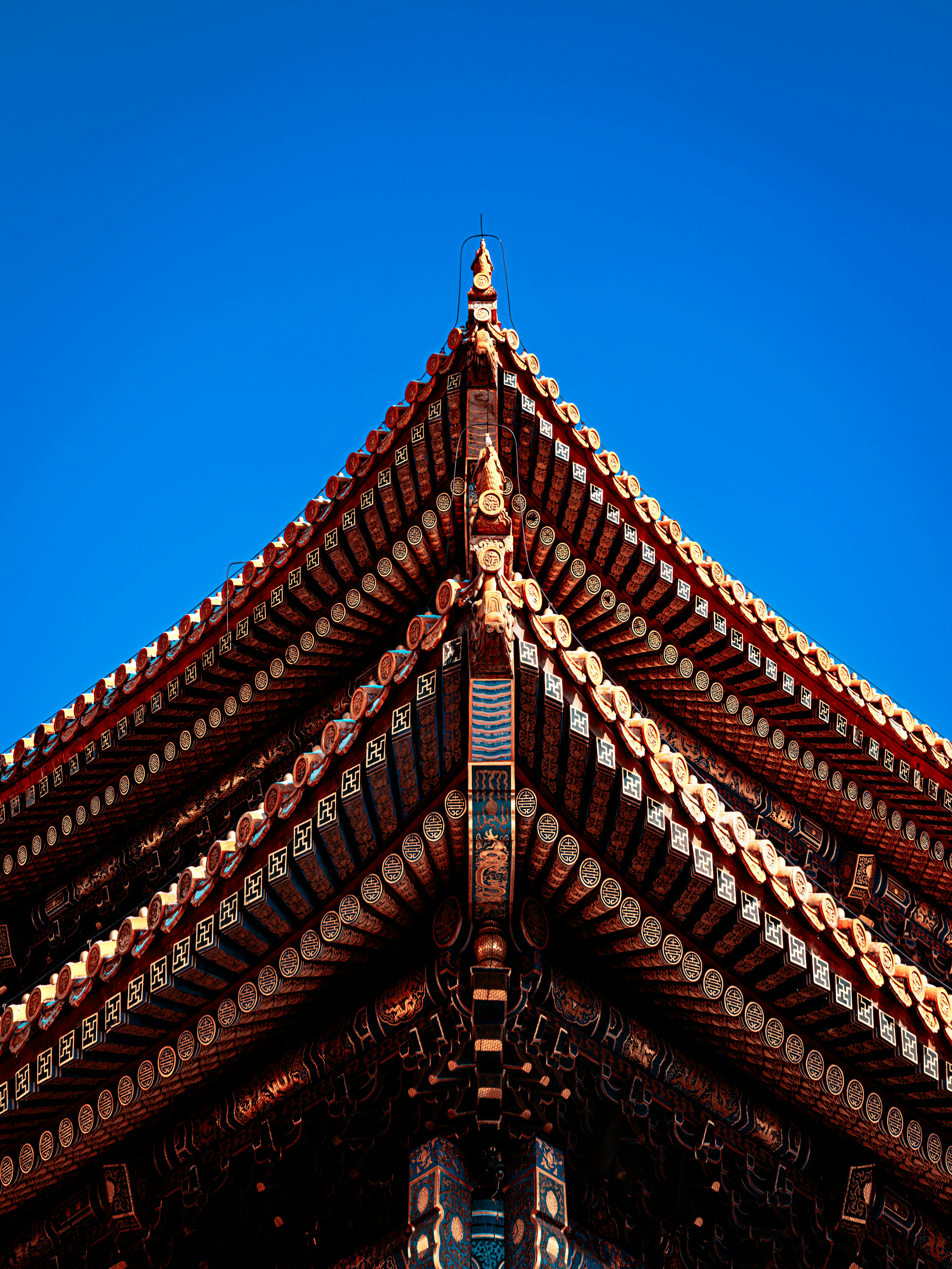 Photo by 晓纲 刘 with Sony Alpha 1 II