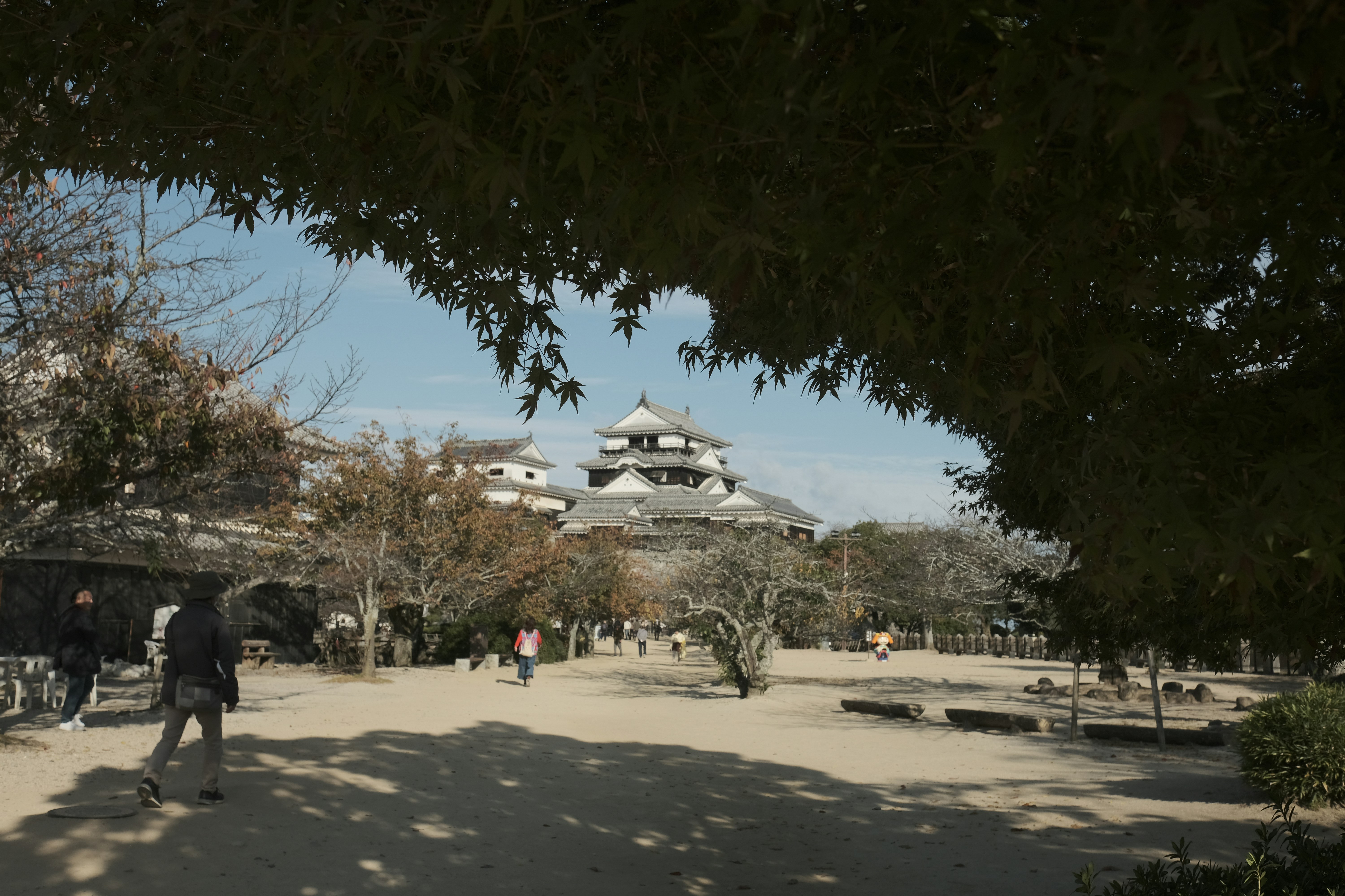 Castle in the Shaded Courtyard: A Timeless Moment Under Tree Canopy