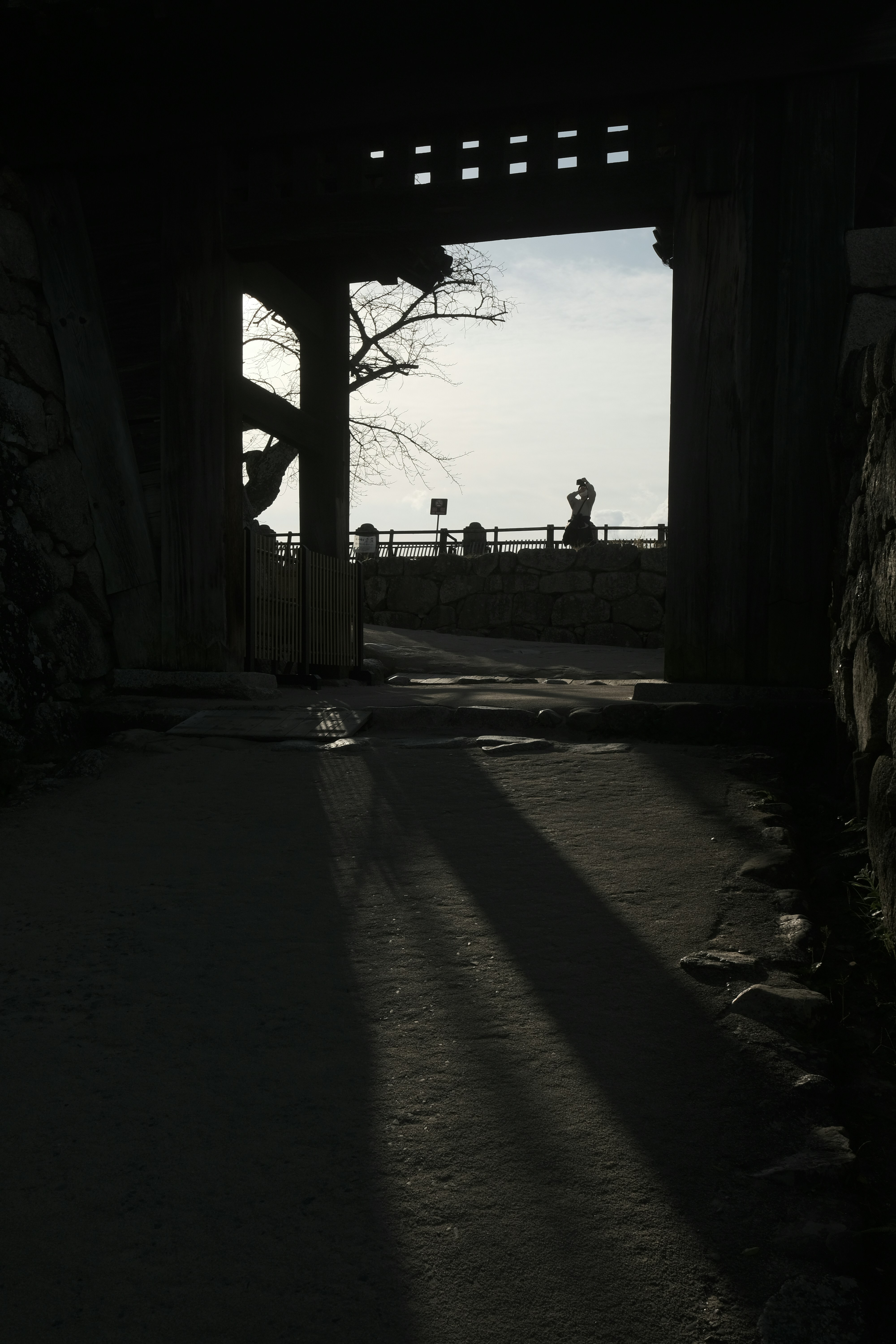 Silhouette at the Gate: Quiet Light Beyond the Arch