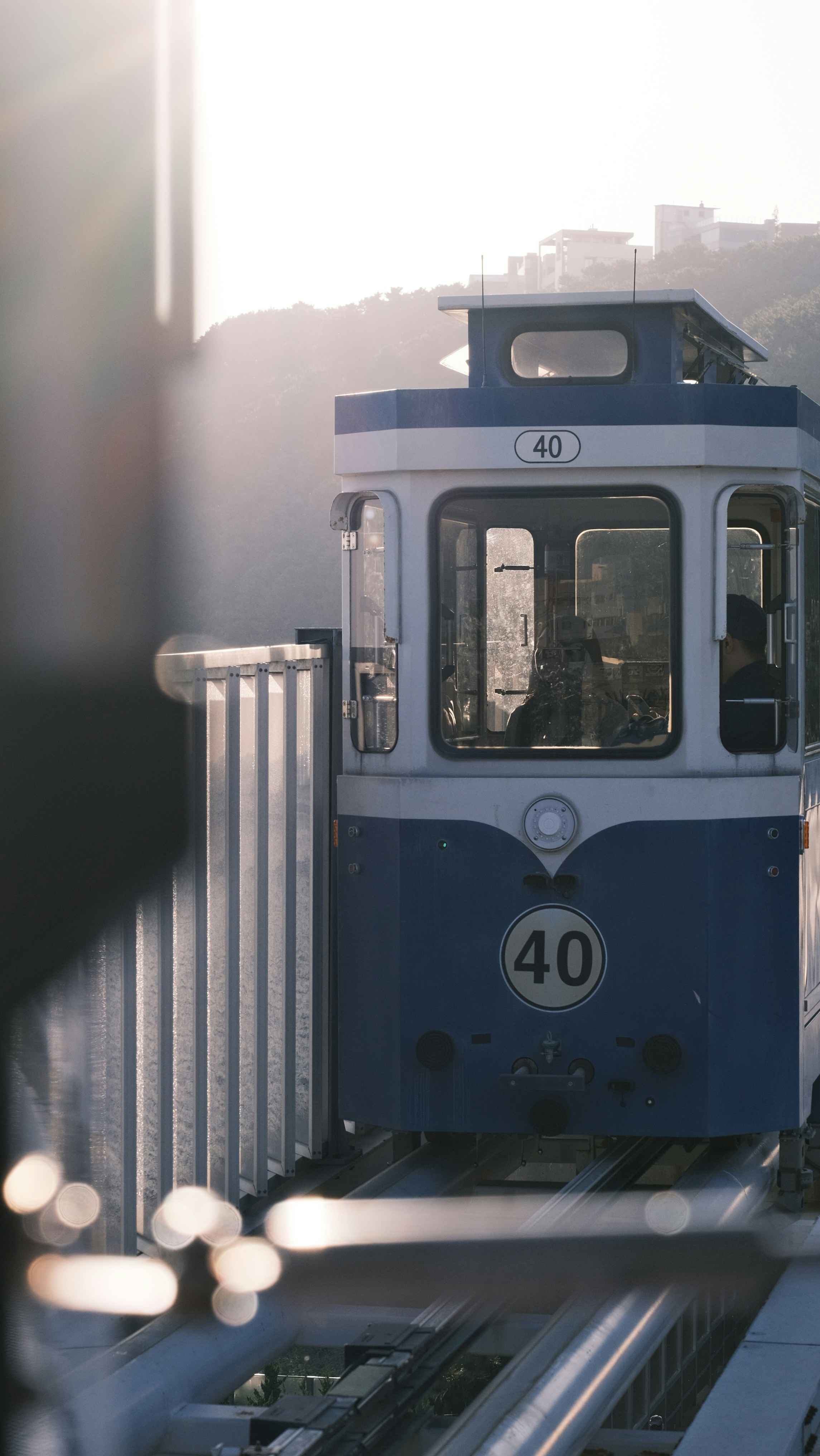 Photo by Sami Chau with Fujifilm X-T30 II