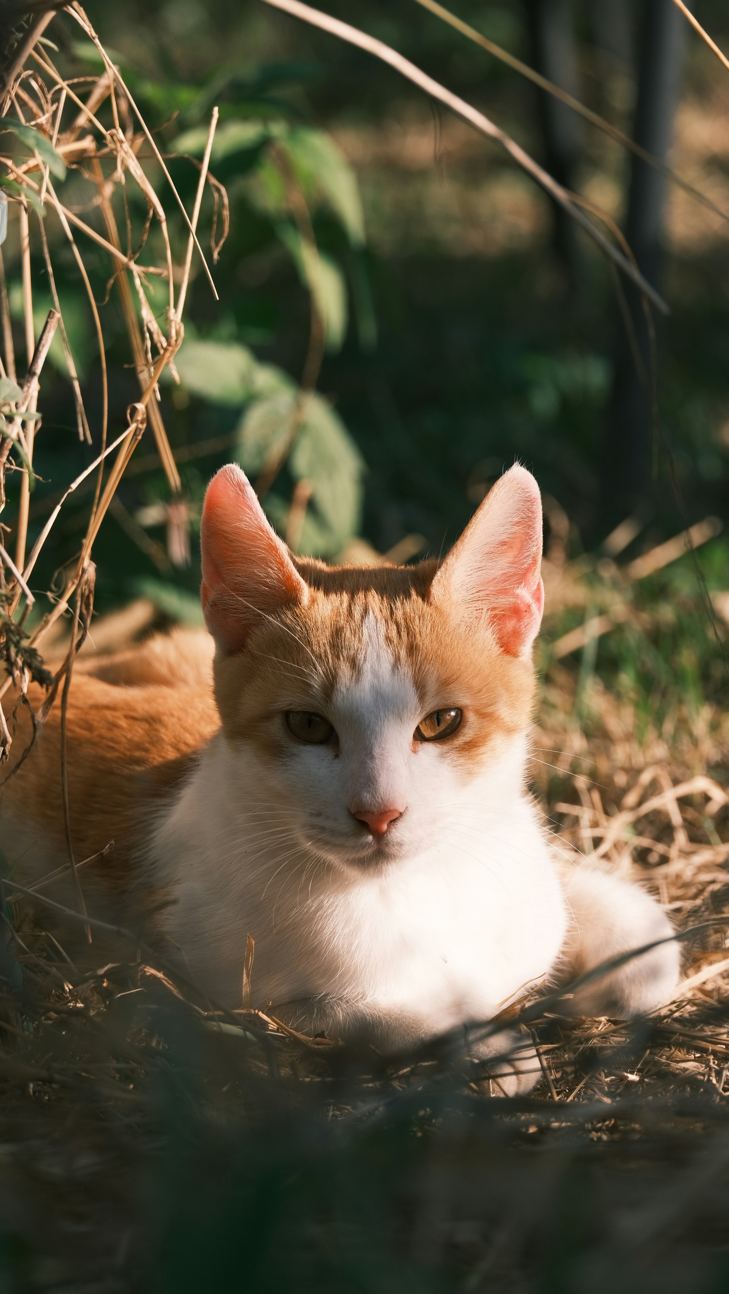 Photo by Sami Chau with Fujifilm X-T30 II