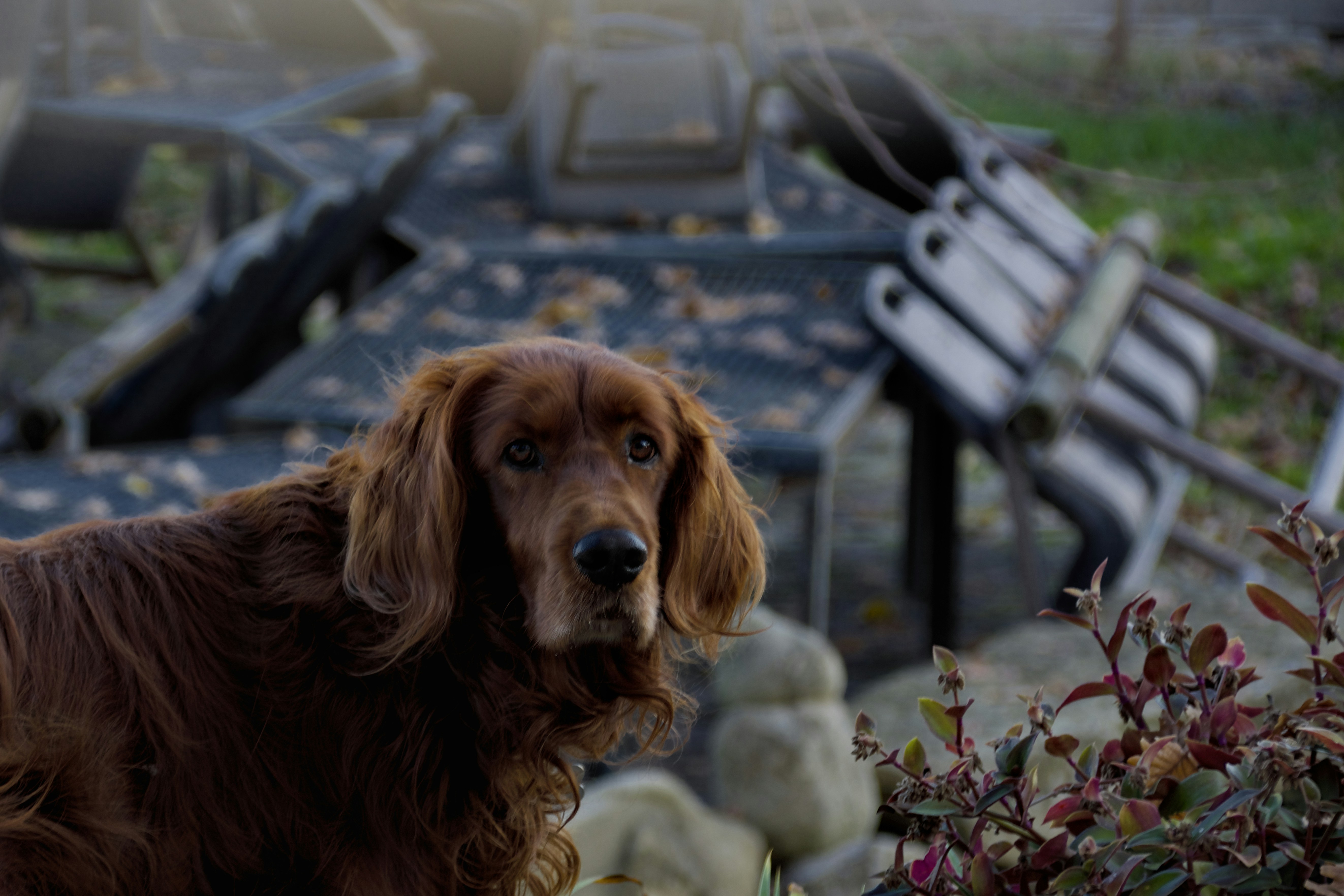 Photo by Mario Beducci with Nikon D7200