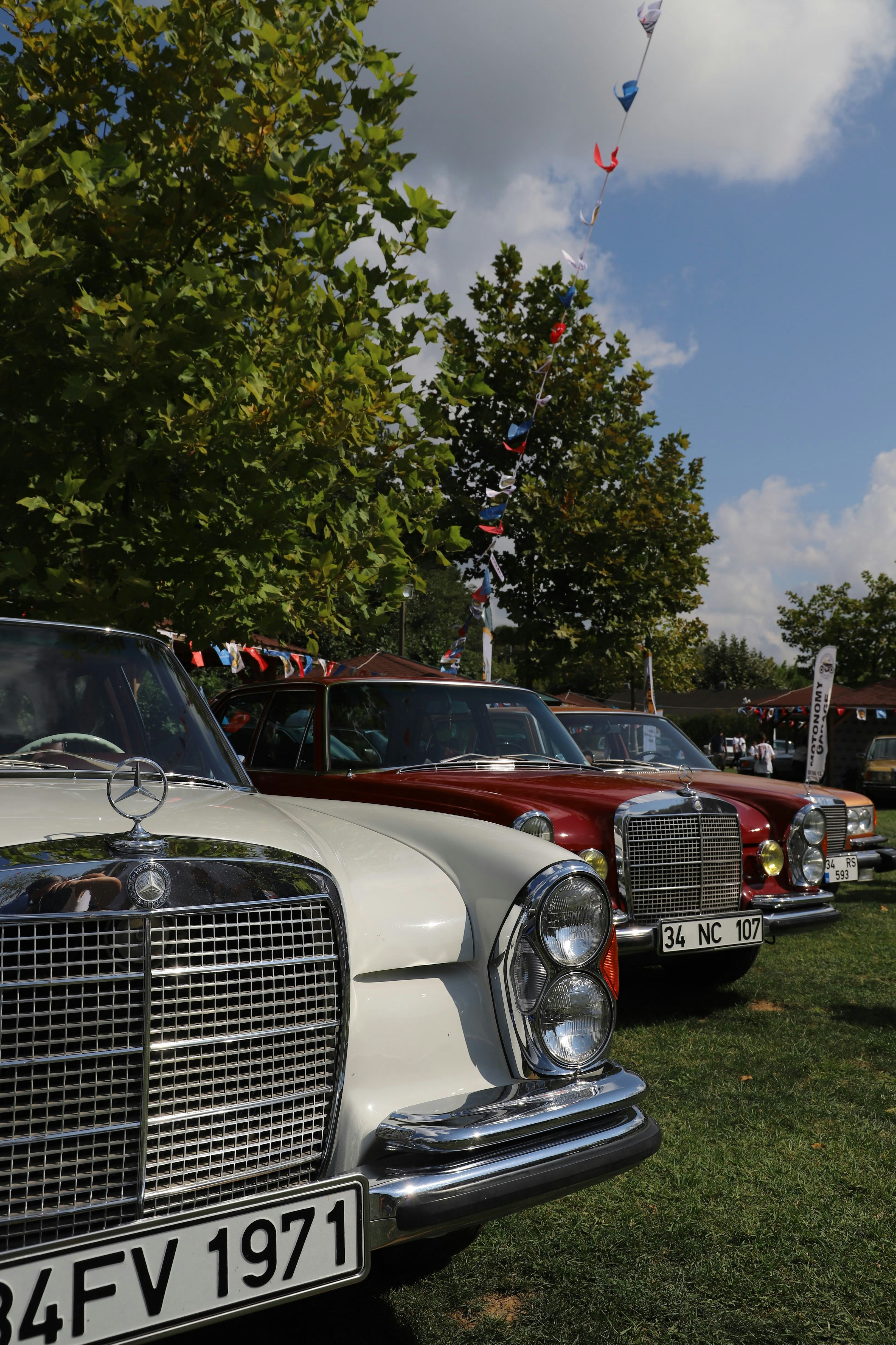 Classic Mercedes Row: Chrome, Curves, and Car Show Sunshine