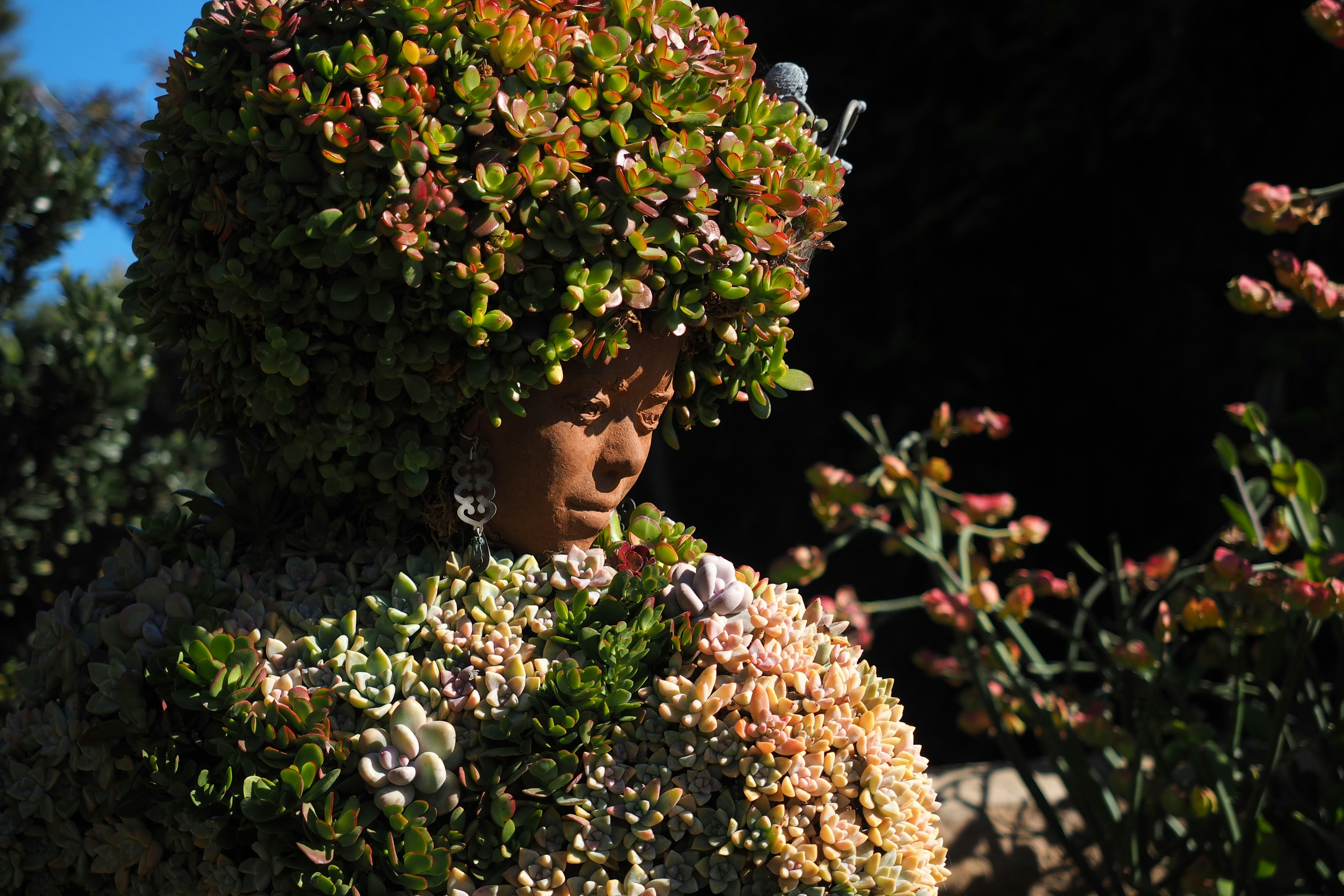 Succulent Elegance: A Silhouette in Floral Armor