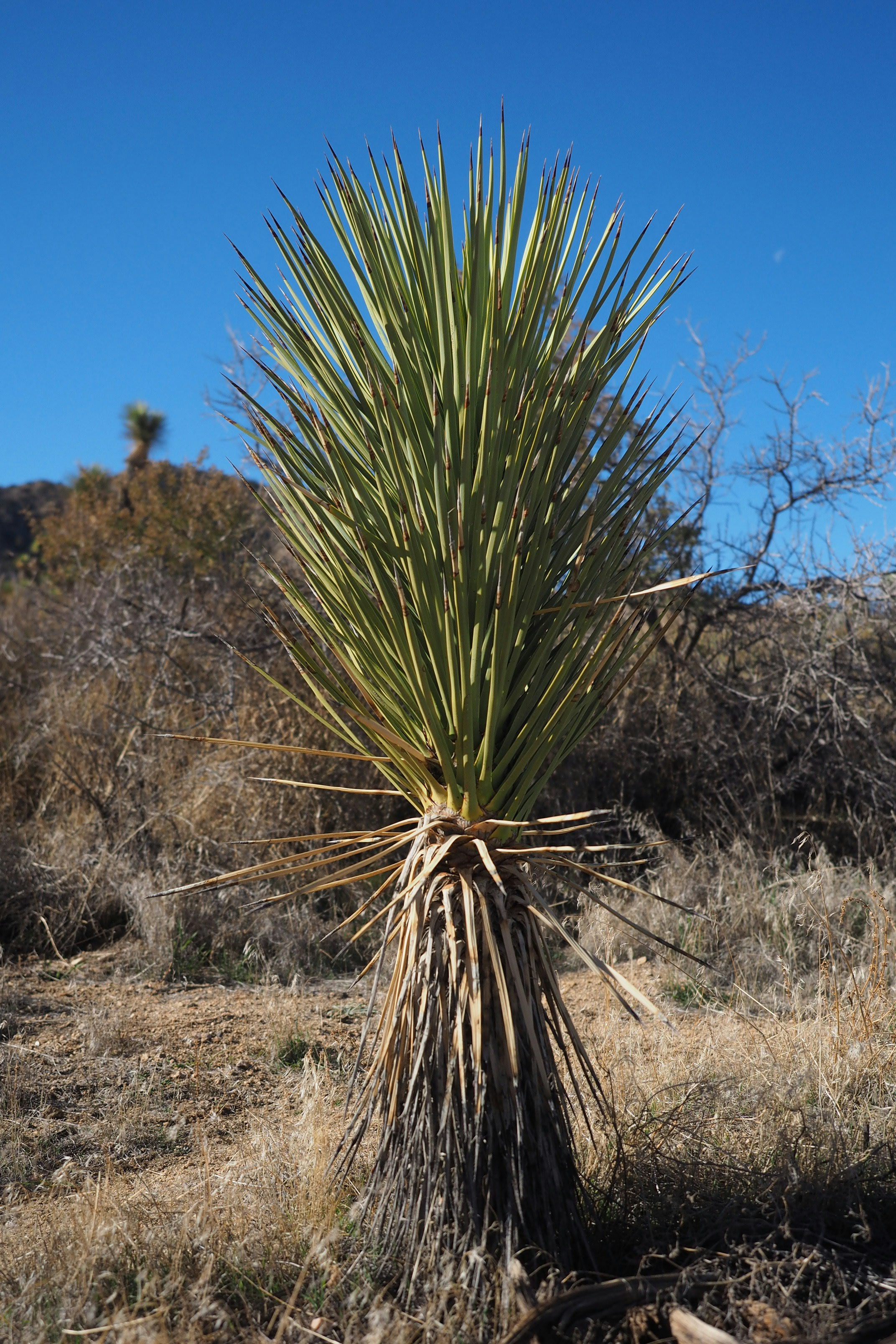 Photo by Shino Nakamura with Olympus OM-D E-M10