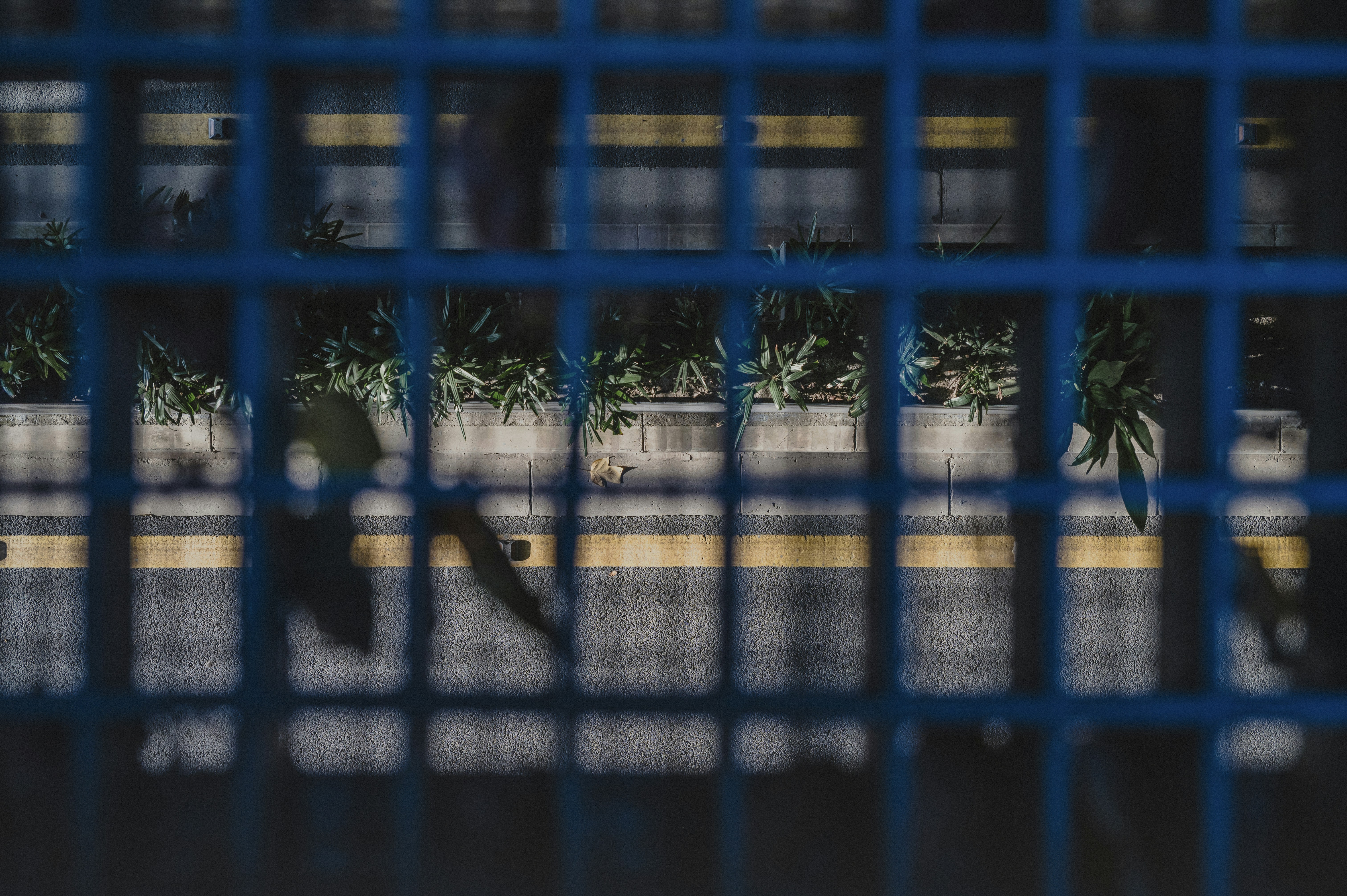 Photo by Lofi 718 with Nikon Z6 II