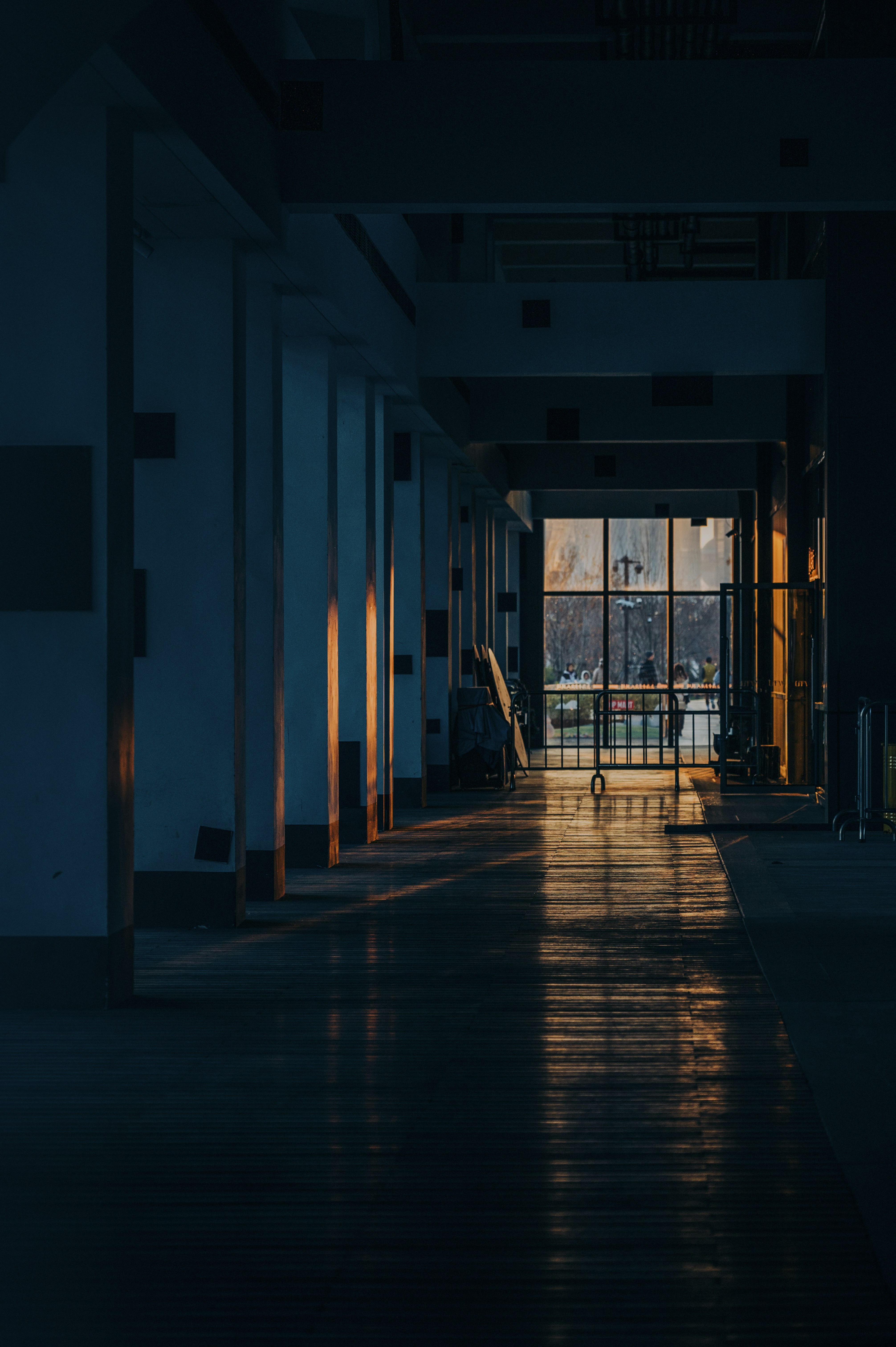 Photo by Lofi 718 with Nikon Z6 II