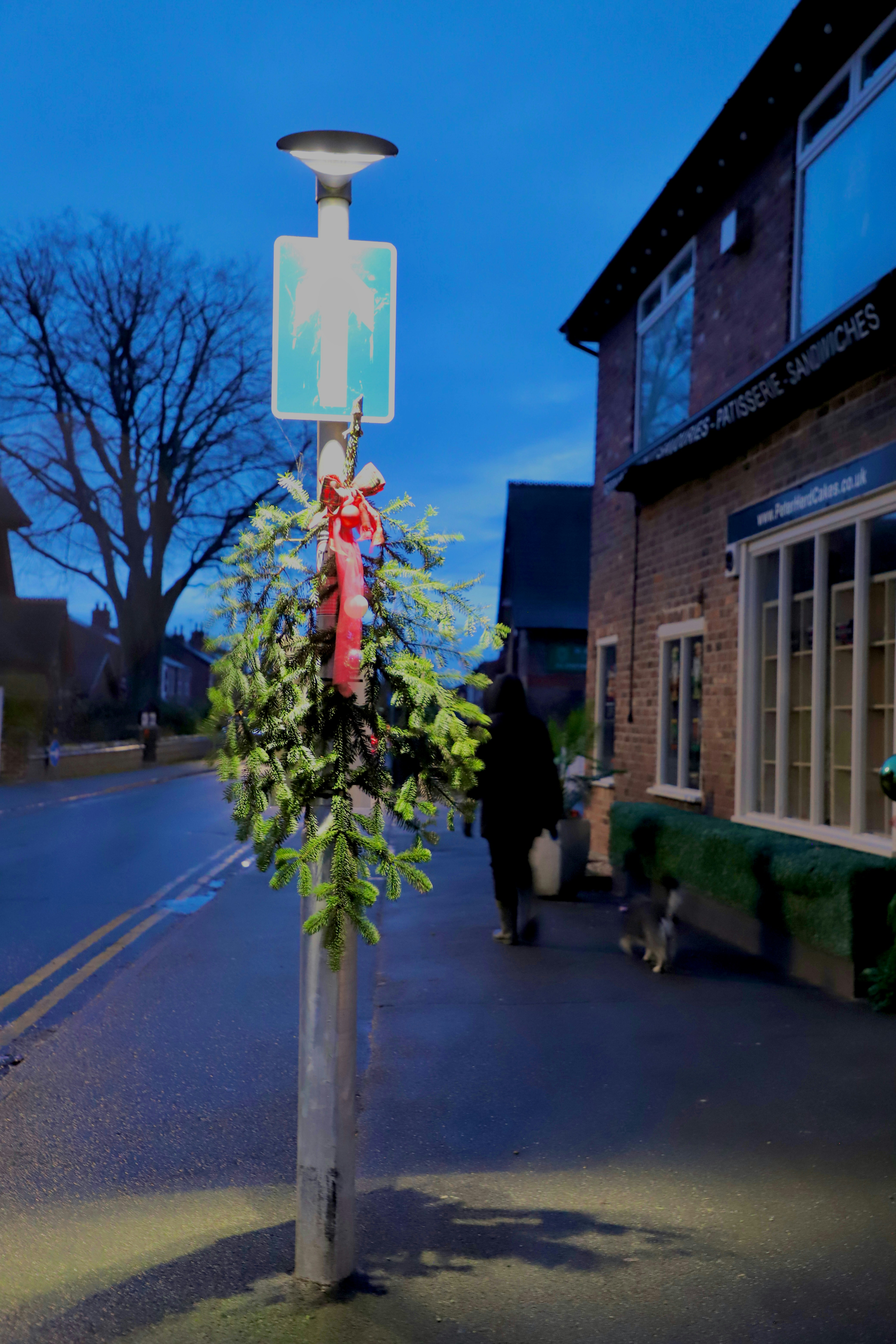 Holiday Greens on a Quiet Town Street Lamp