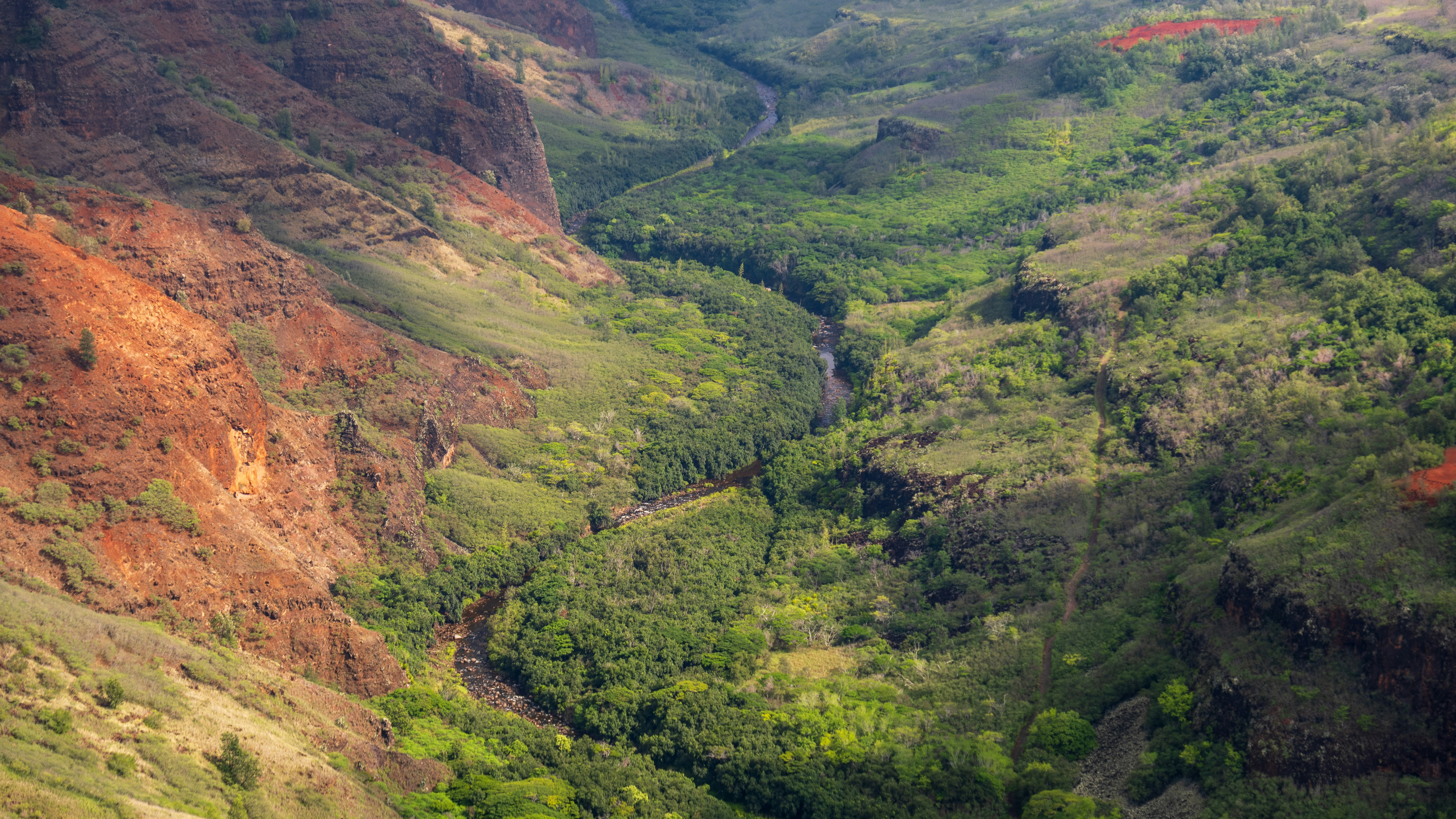 Looking at the Waimea river from an overlook