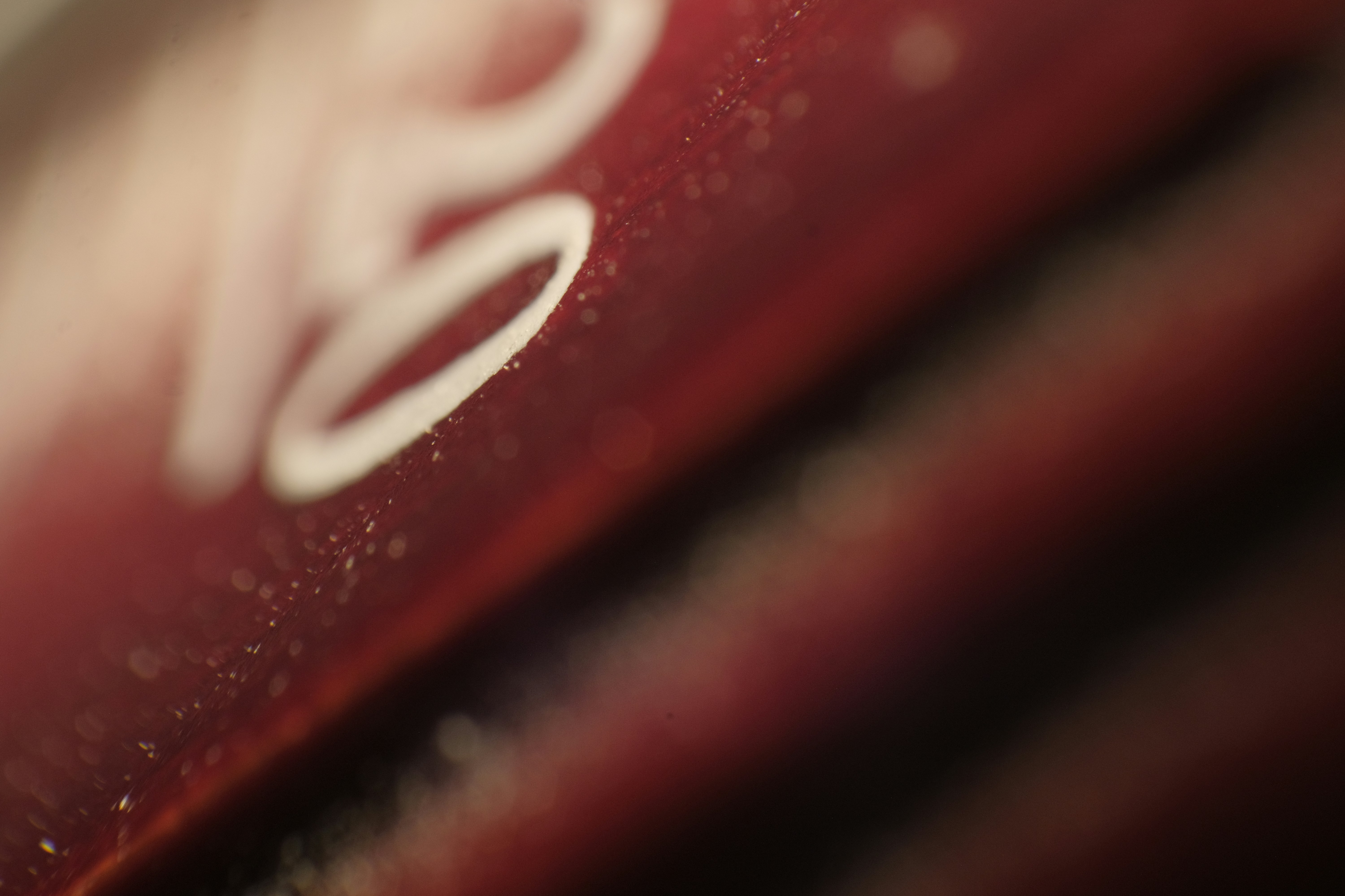 Photo by Josef Litoš with Fujifilm X-T2