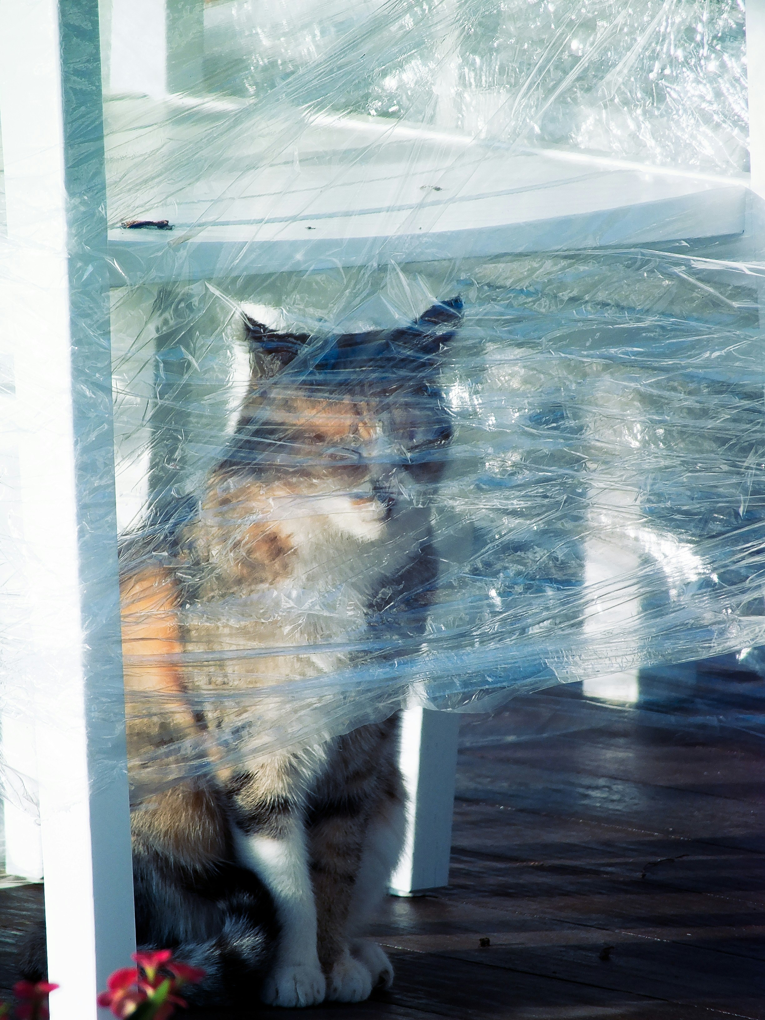 Instagram @_muratilik2